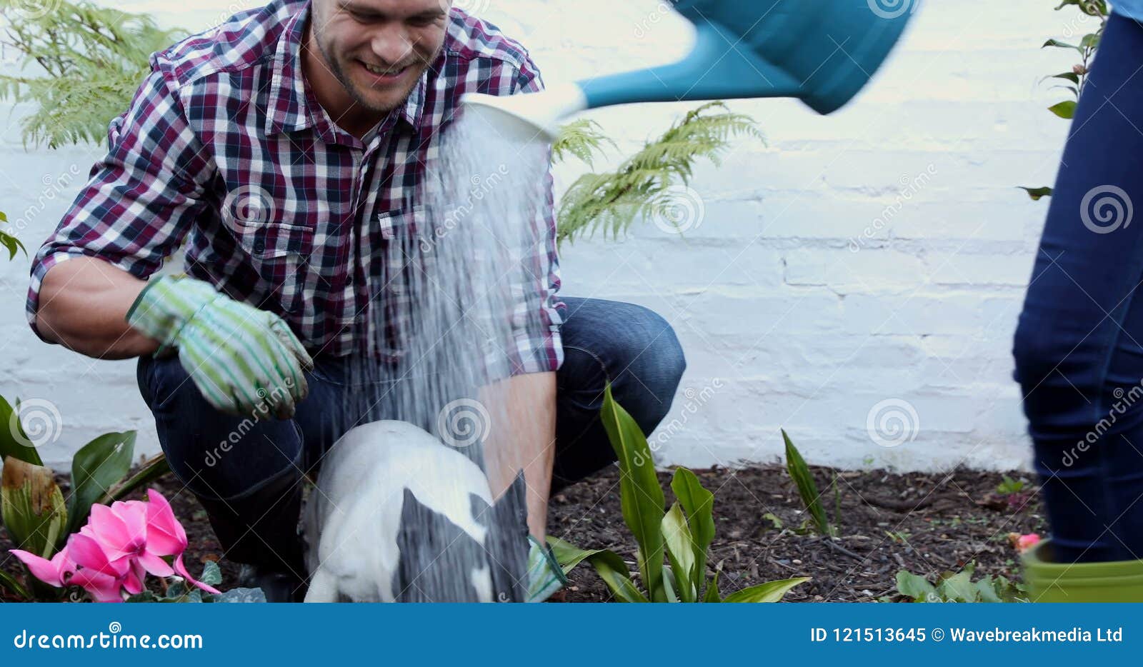 Couples Watering the Plants in the Garden 4k Stock Video - Video of ...