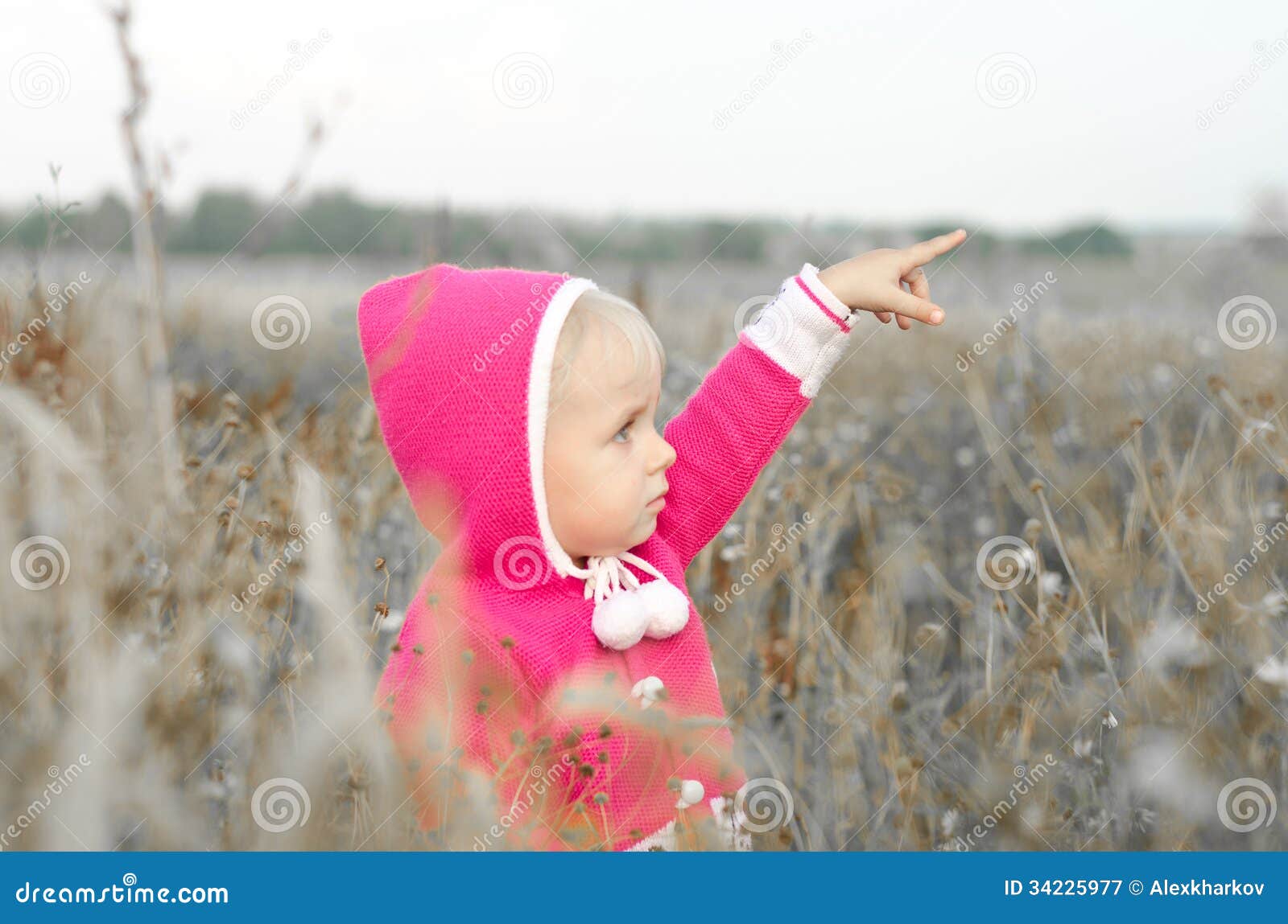 Happy Cute Girl Playing in the Field Stock Image - Image of flowers ...