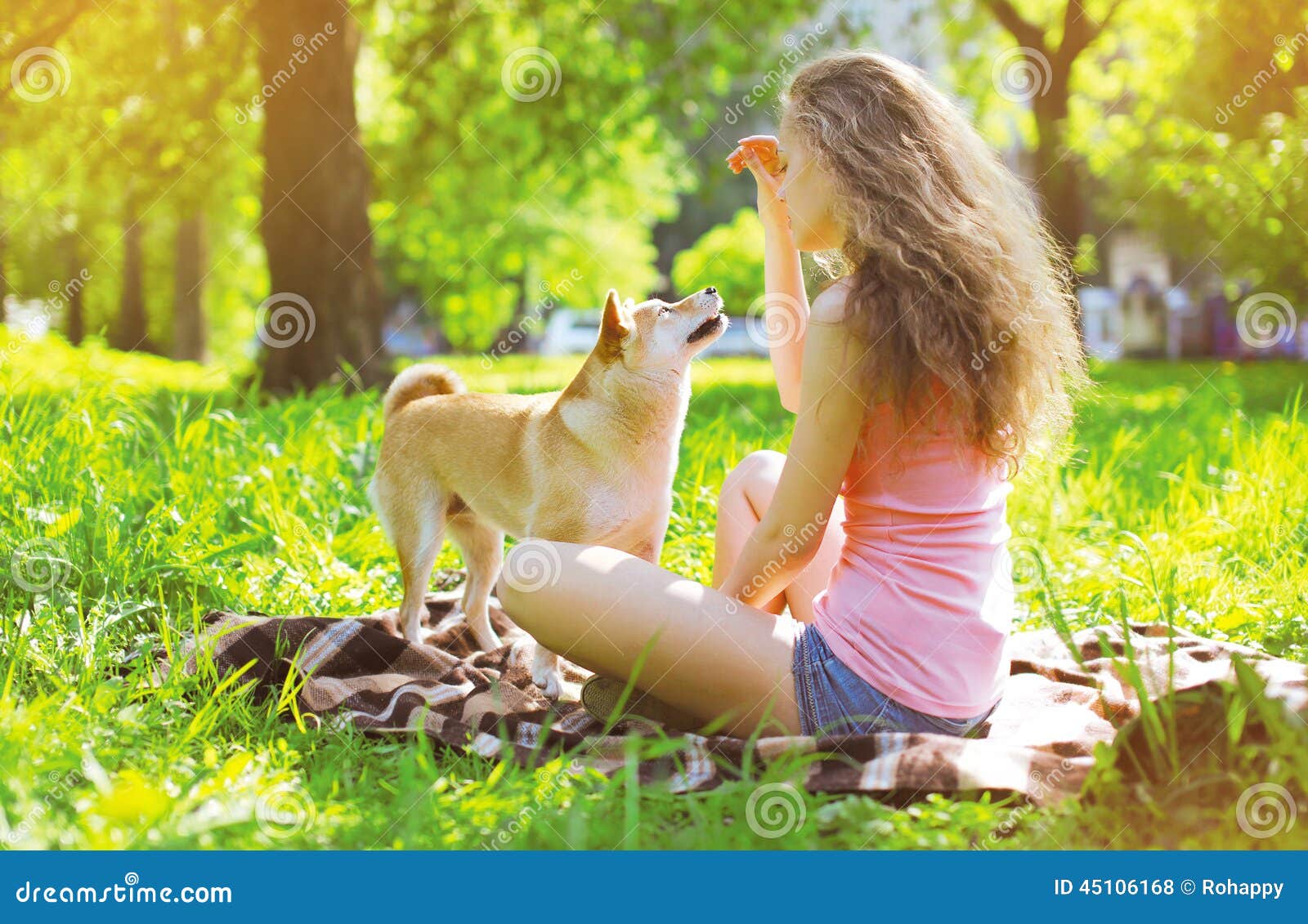 Happy Dog and Owner in Summer Park Stock Photo - Image of people ...