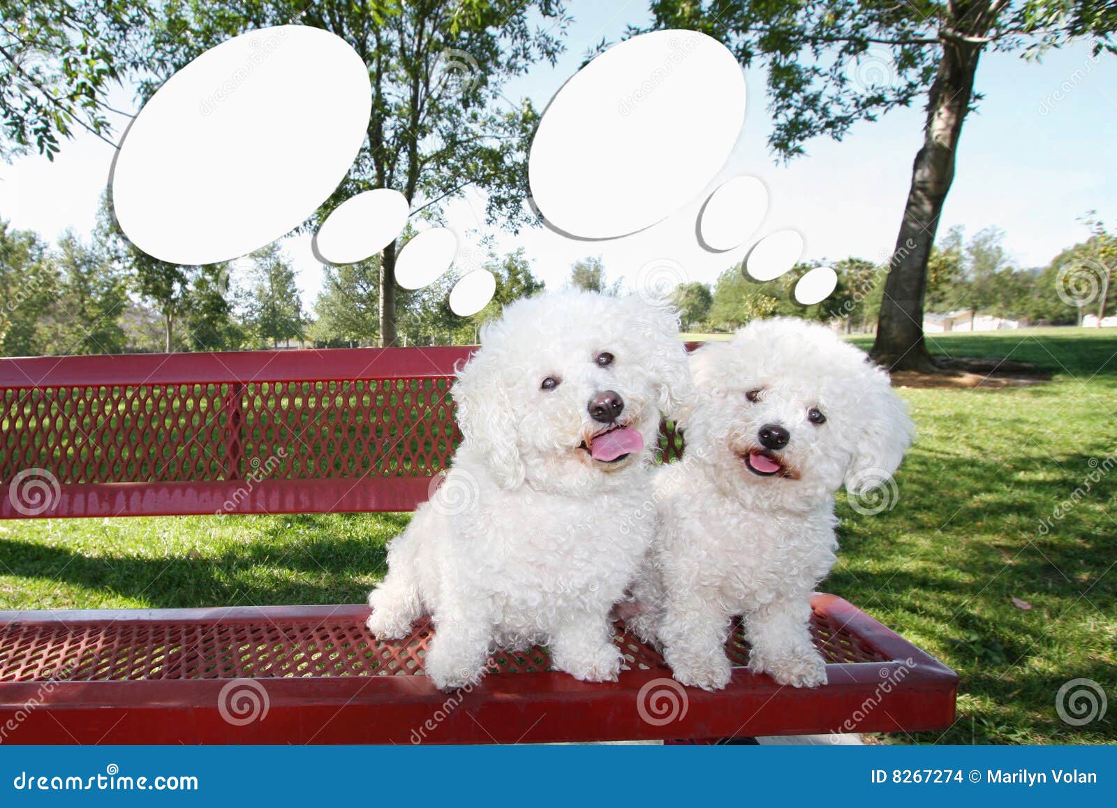 Happy Dogs with Thoughts stock photo. Image of funny, cartoon - 8267274