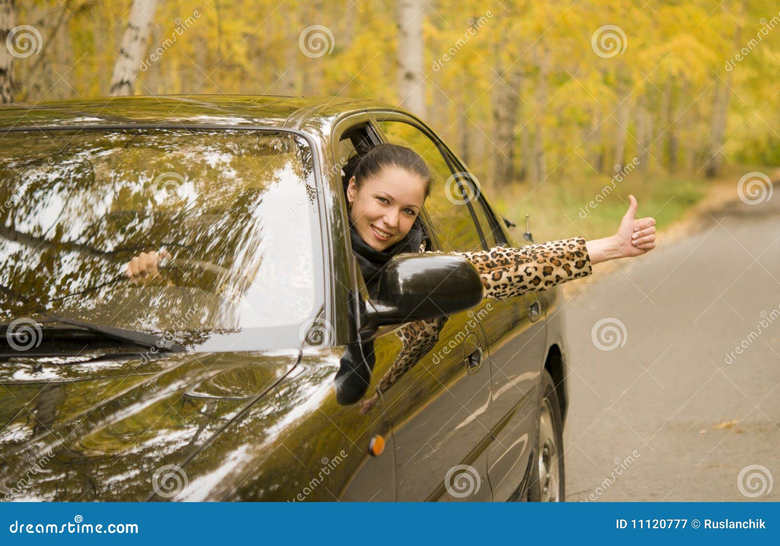 Happy driver stock image. Image of commuter, successful - 11120777