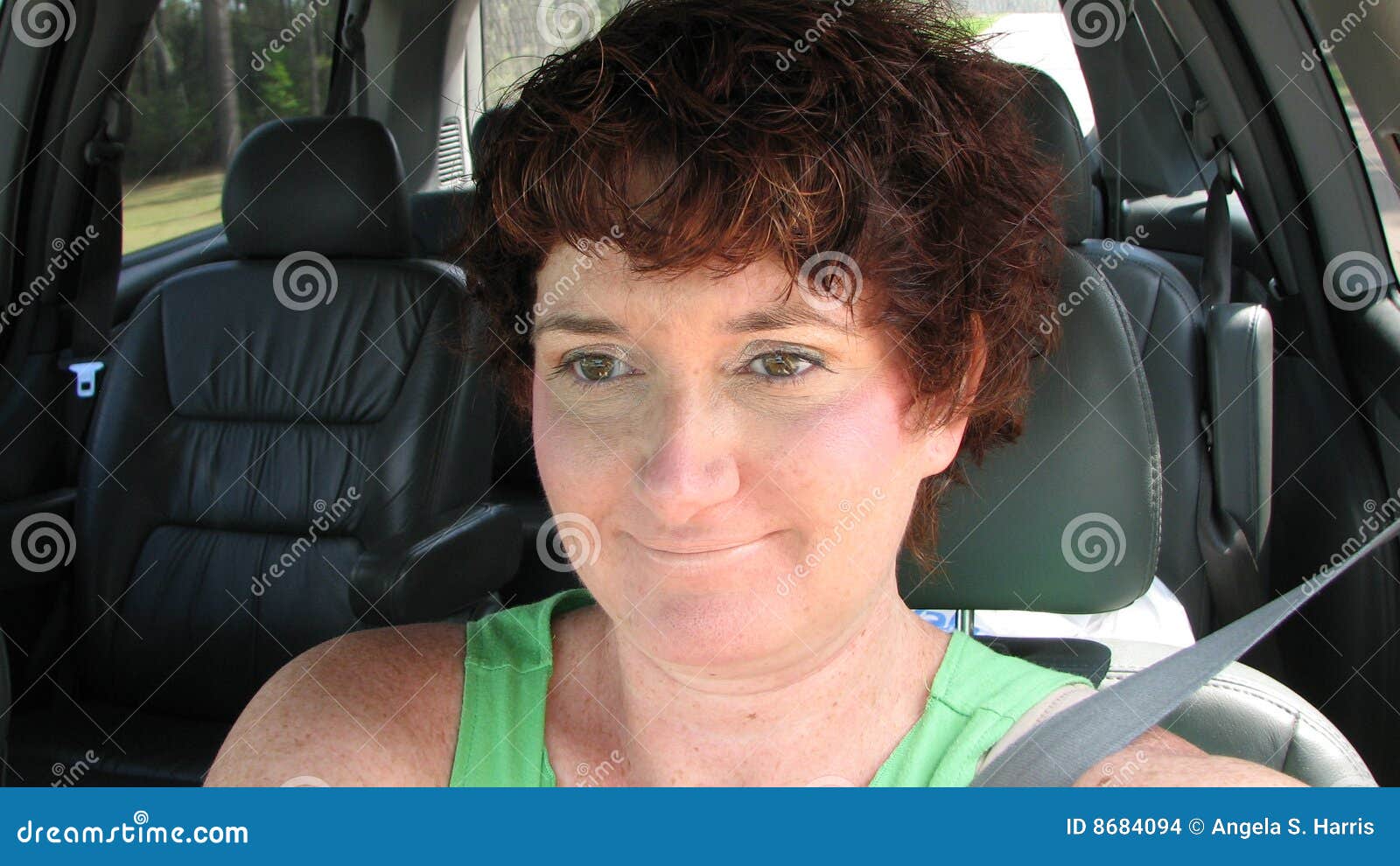 Happy Driver Picture. Image: 8684094