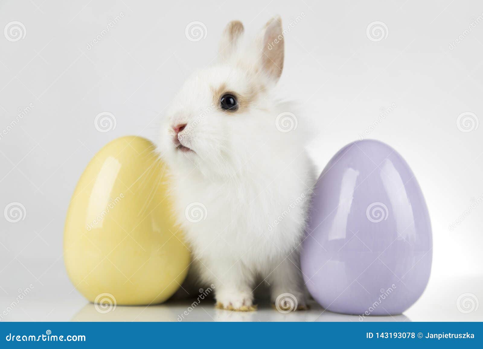 Little Baby Rabbit and Easter Eggs, White Background Stock Photo ...