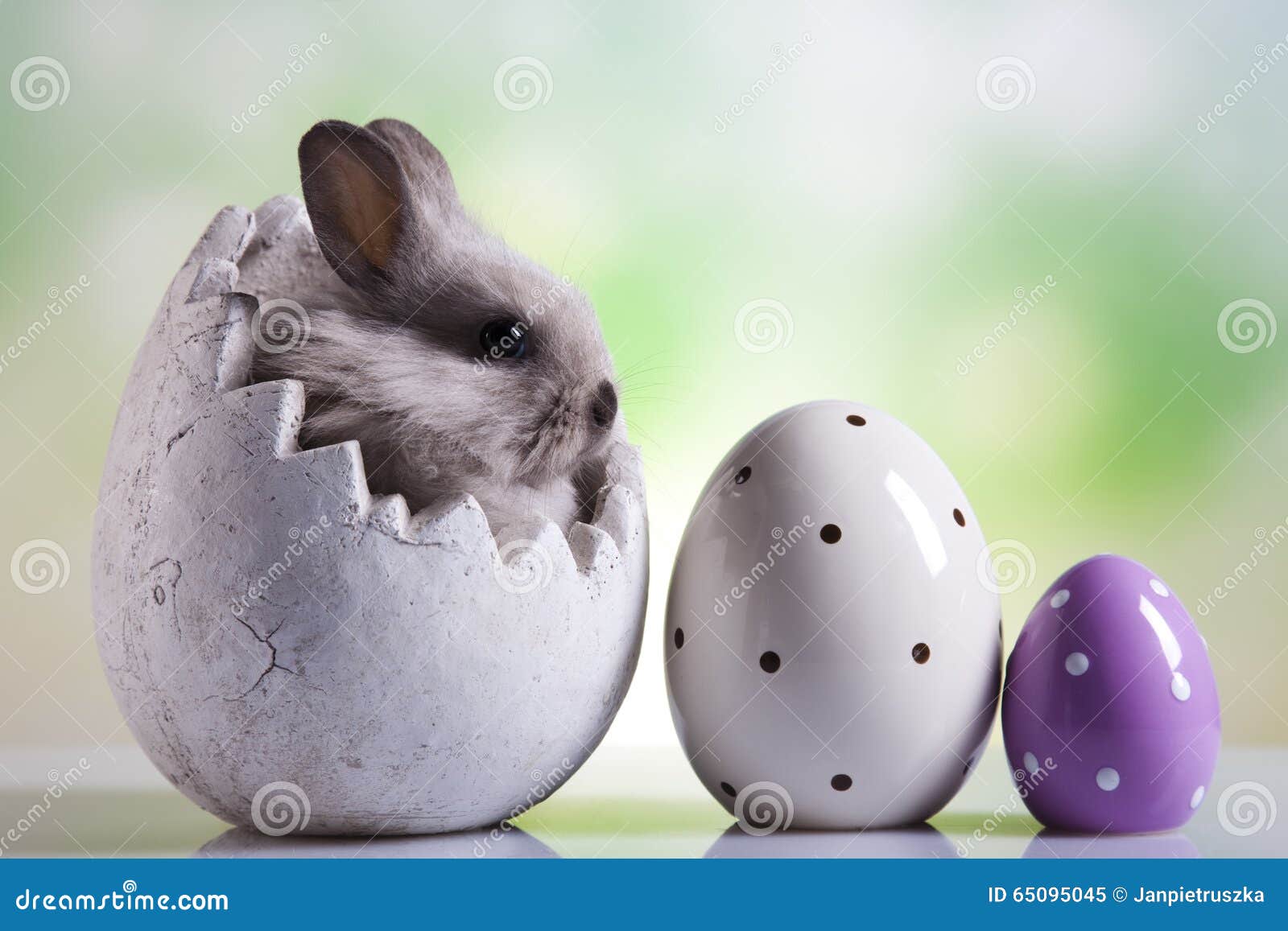 Happy easter, Baby bunny stock image. Image of concept - 65095045