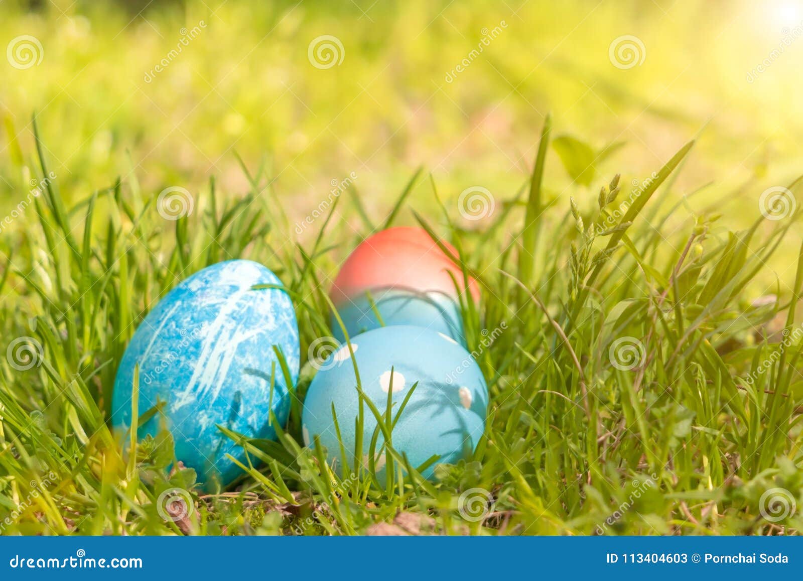 Happy Easter, Blue Organic Easter Eggs, Easter Holiday Decorations ...