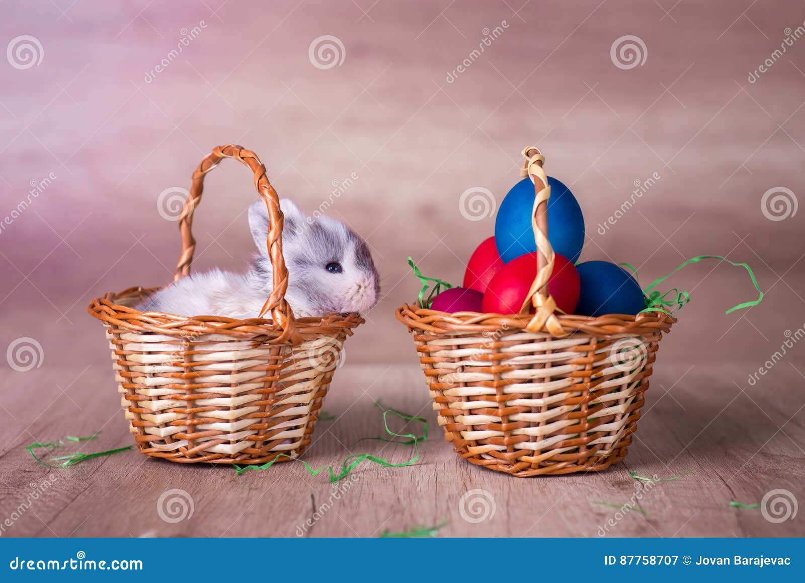 Happy Easter, Bunny in a Basket Stock Image - Image of horizontal ...