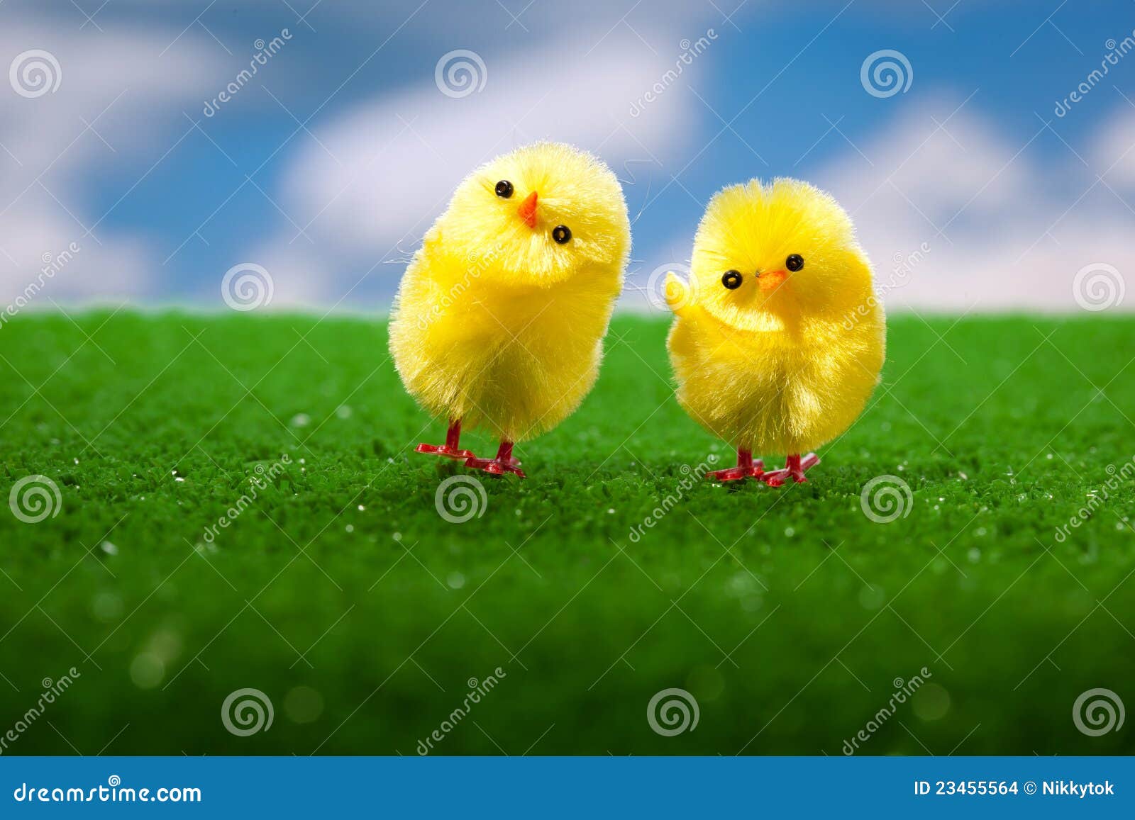 Happy easter chickens stock photo. Image of cloud, card - 23455564