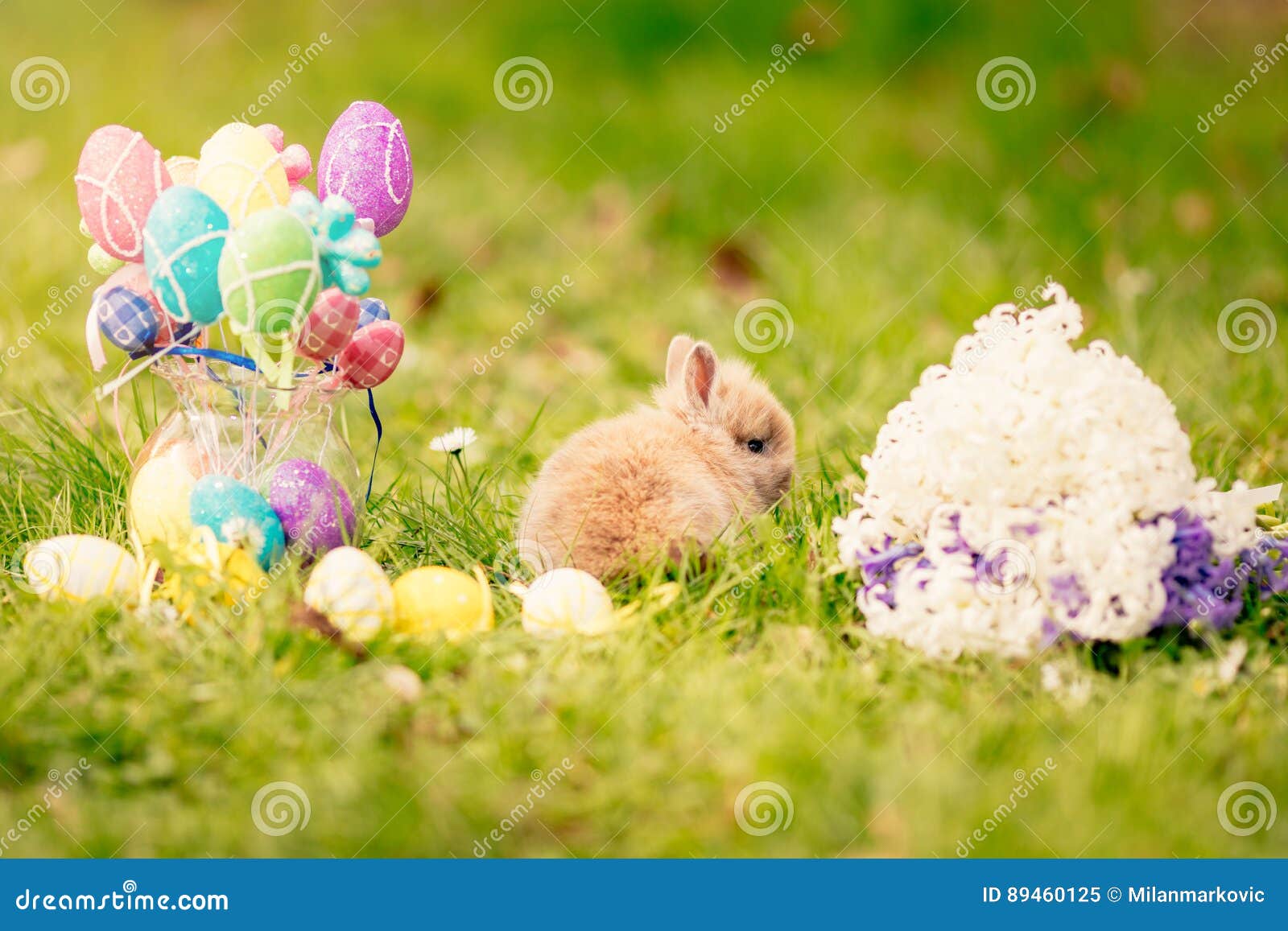 Happy Easter! stock image. Image of flower, spring, nature - 89460125