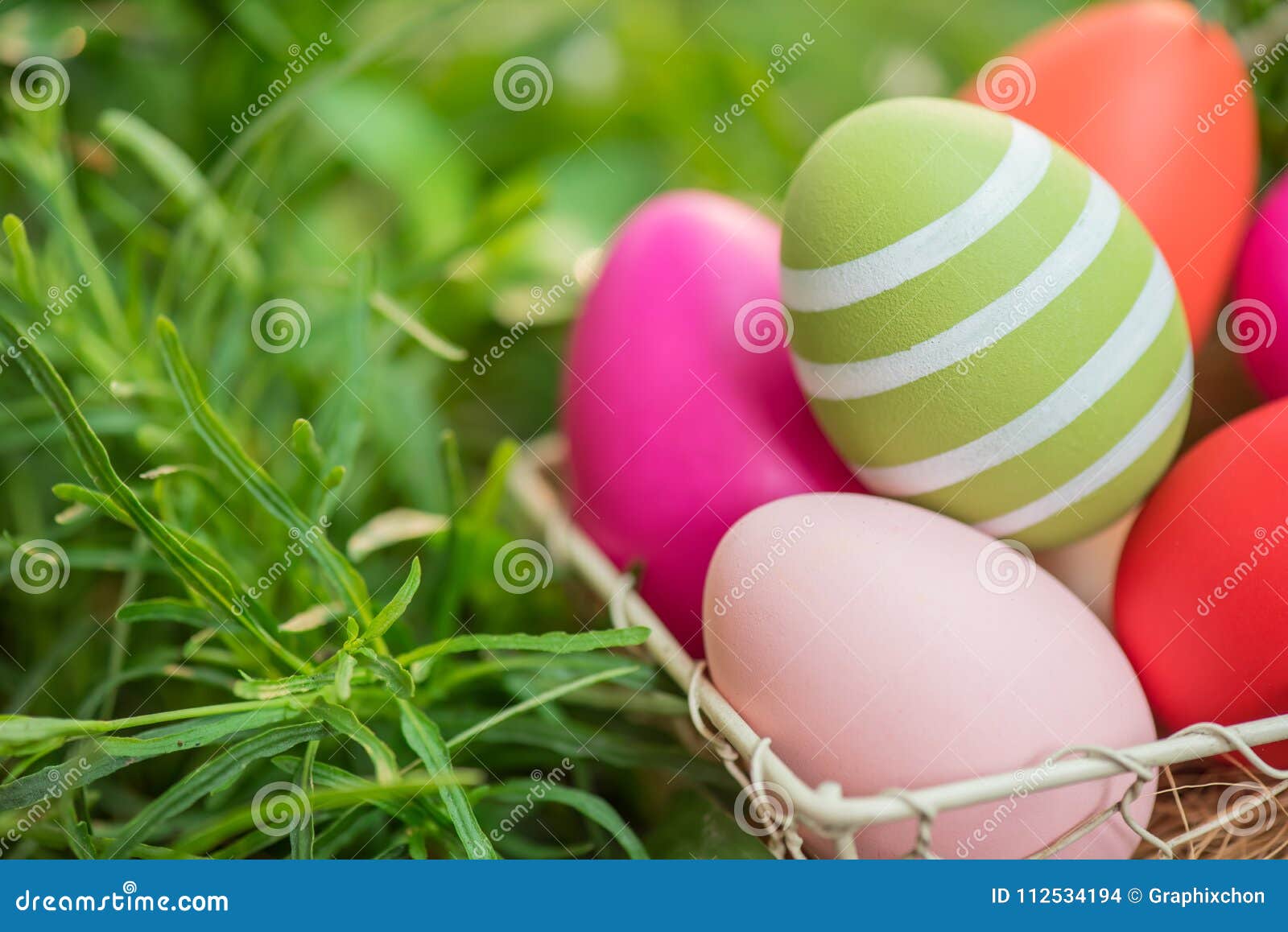 Happy Easter bunny egg stock photo. Image of gift, natural - 112534194