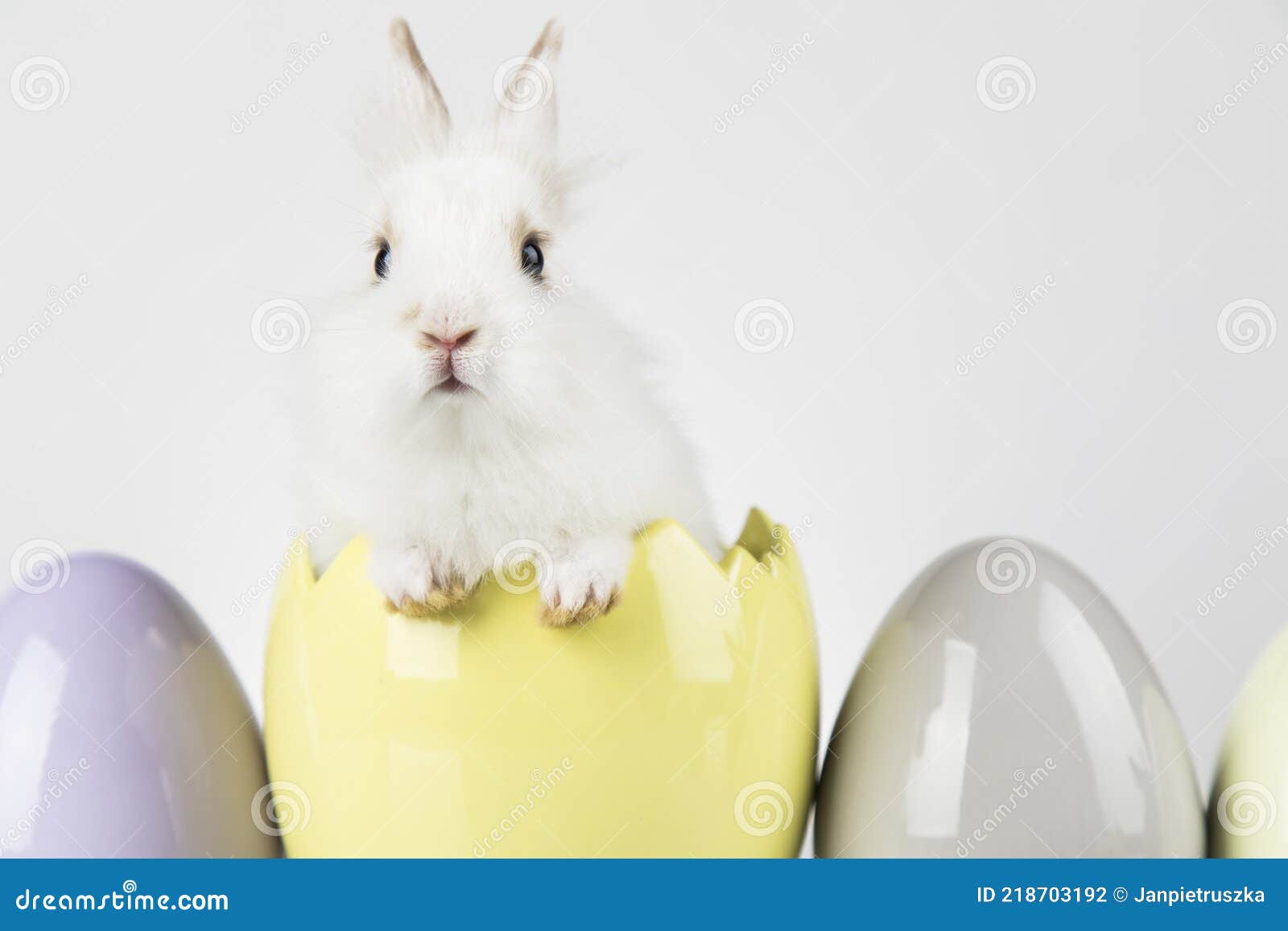 Happy Easter,Eggs, Baby Bunny Stock Photo - Image of pets, little ...