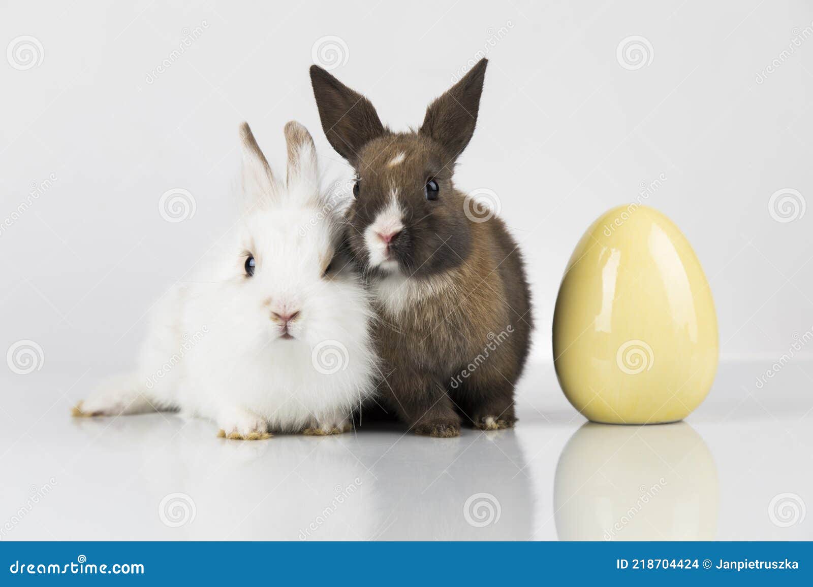 Happy Easter,Eggs, Baby Bunny Stock Photo - Image of happy, white ...