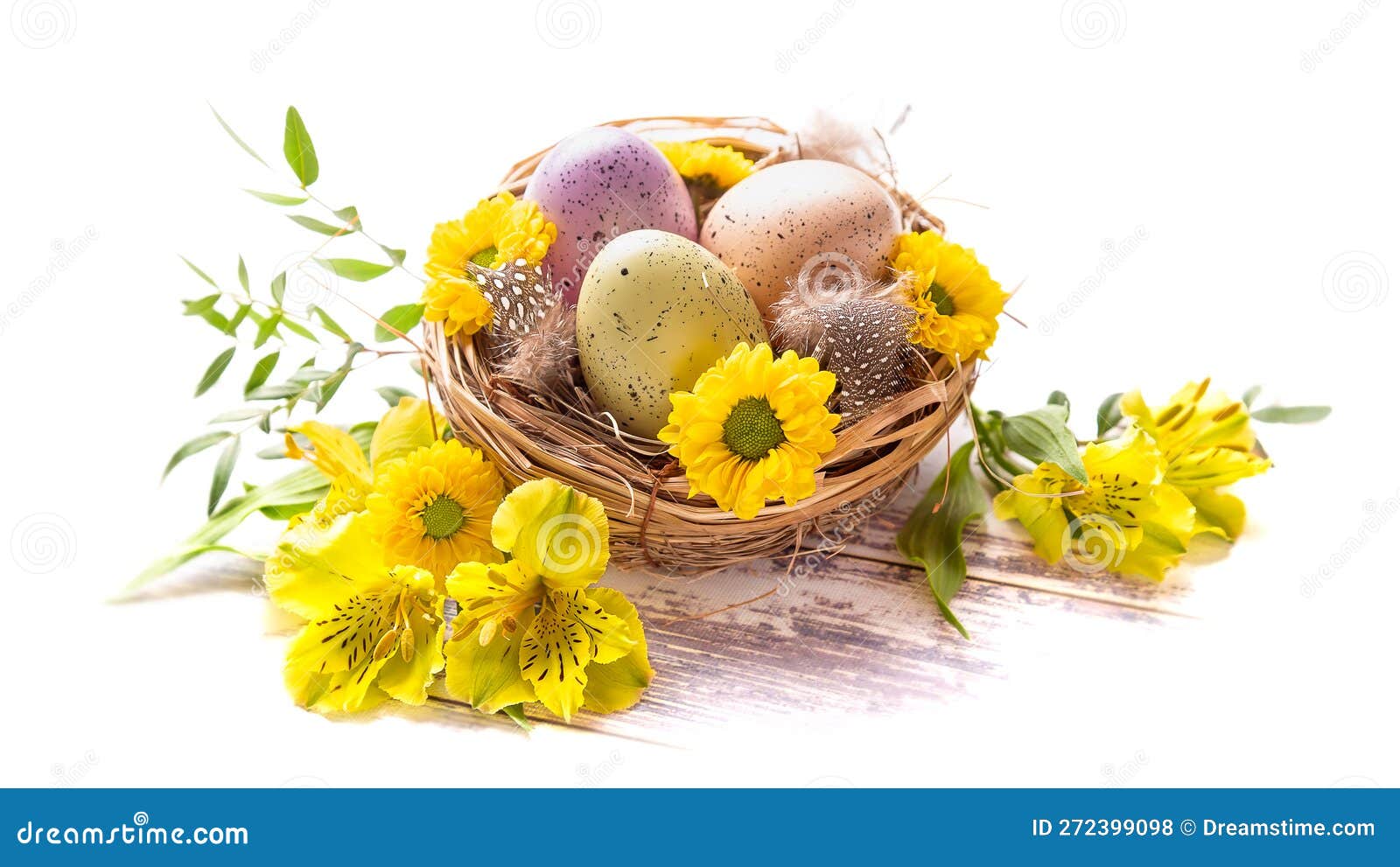 Happy Easter. Three Spotted Eggs in the Nest and Spring Yellow Flowers ...