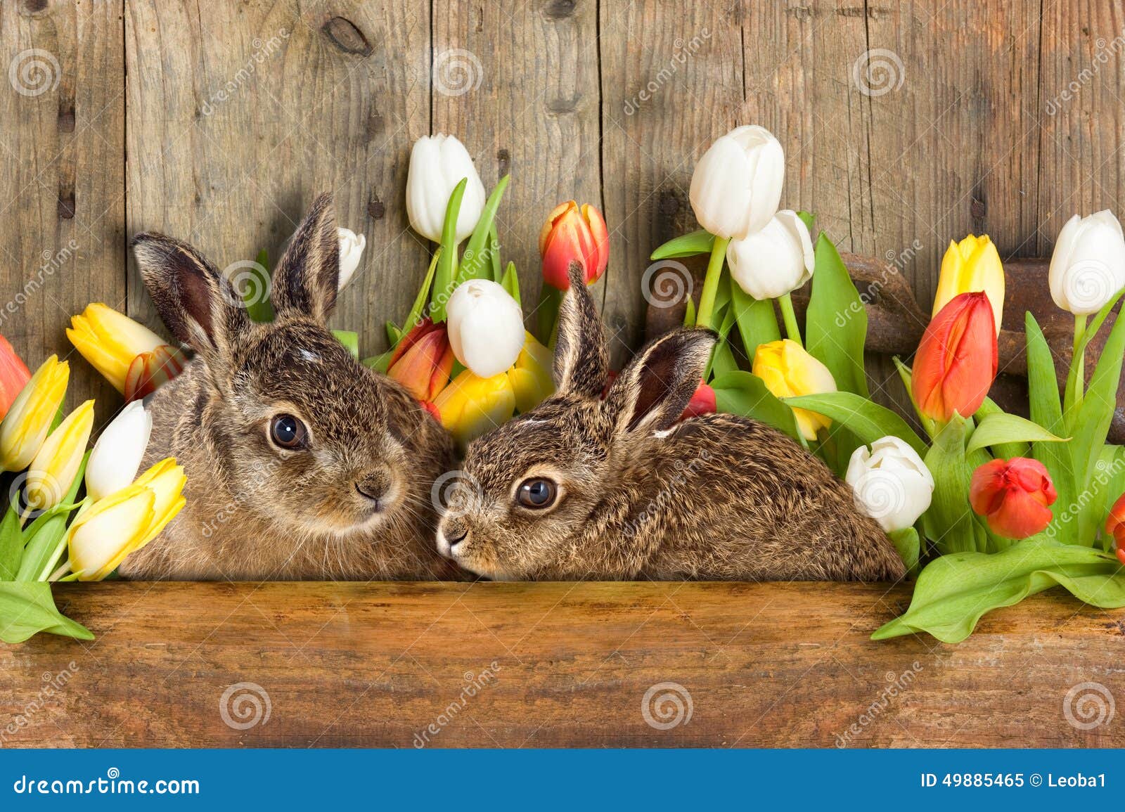 Happy Easter stock image. Image of text, seasonal, advertisement - 49885465