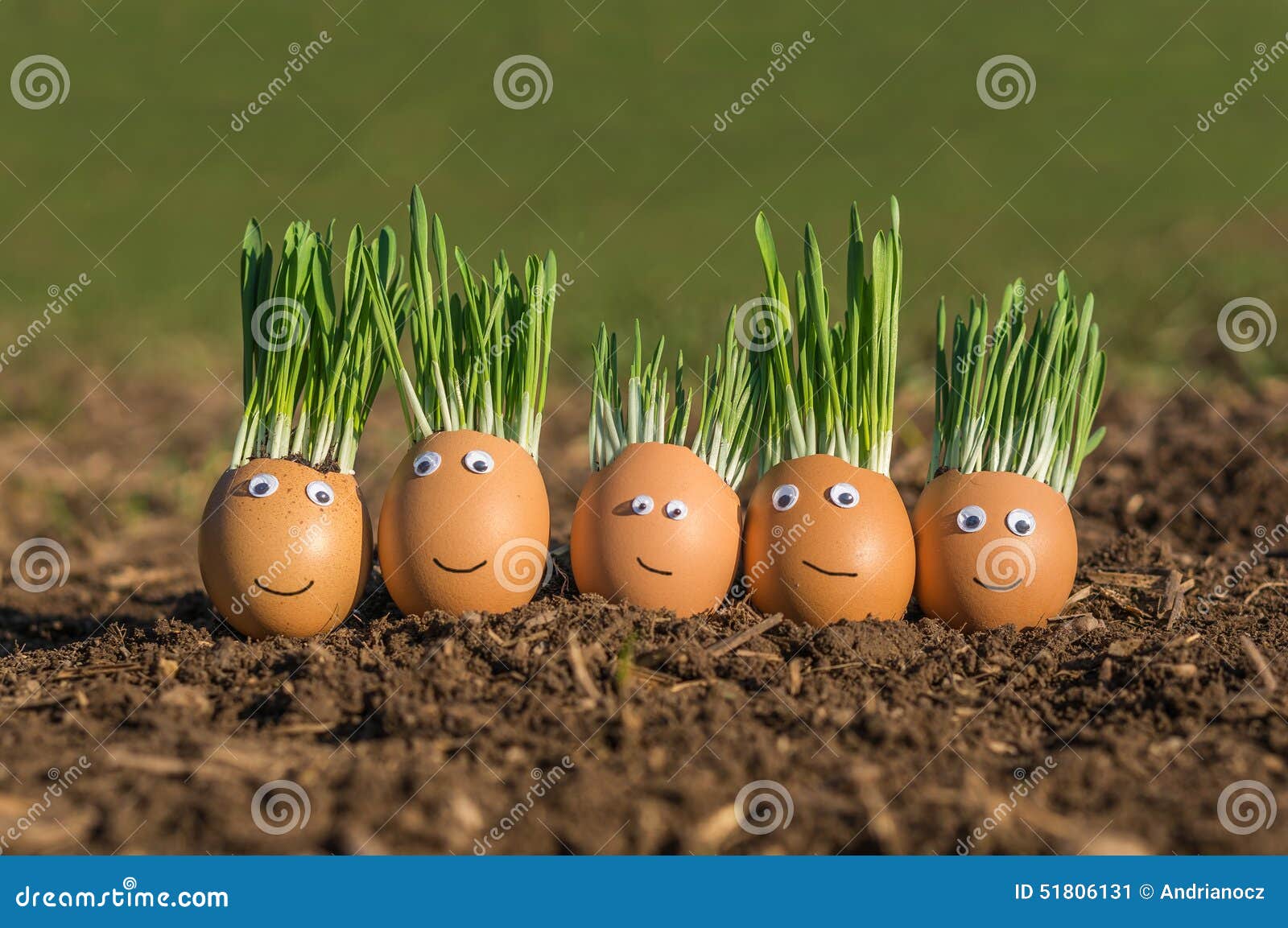 Happy egg family stock image. Image of easter, seedling - 51806131