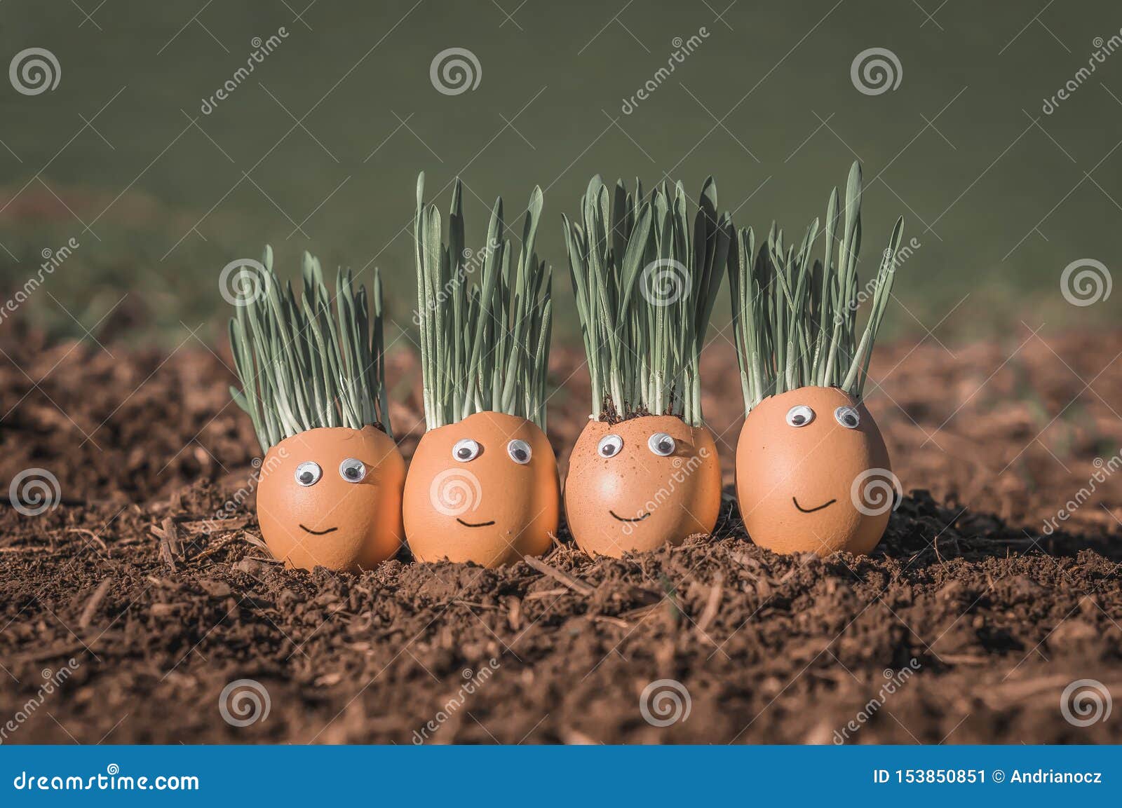 Happy egg family stock image. Image of easter, eggs - 153850851