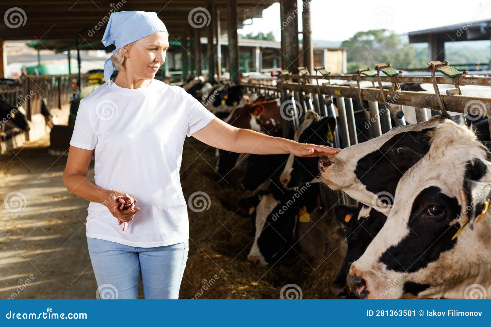 Female Farmer Posing in Cowshed Stock Image - Image of outdoors ...
