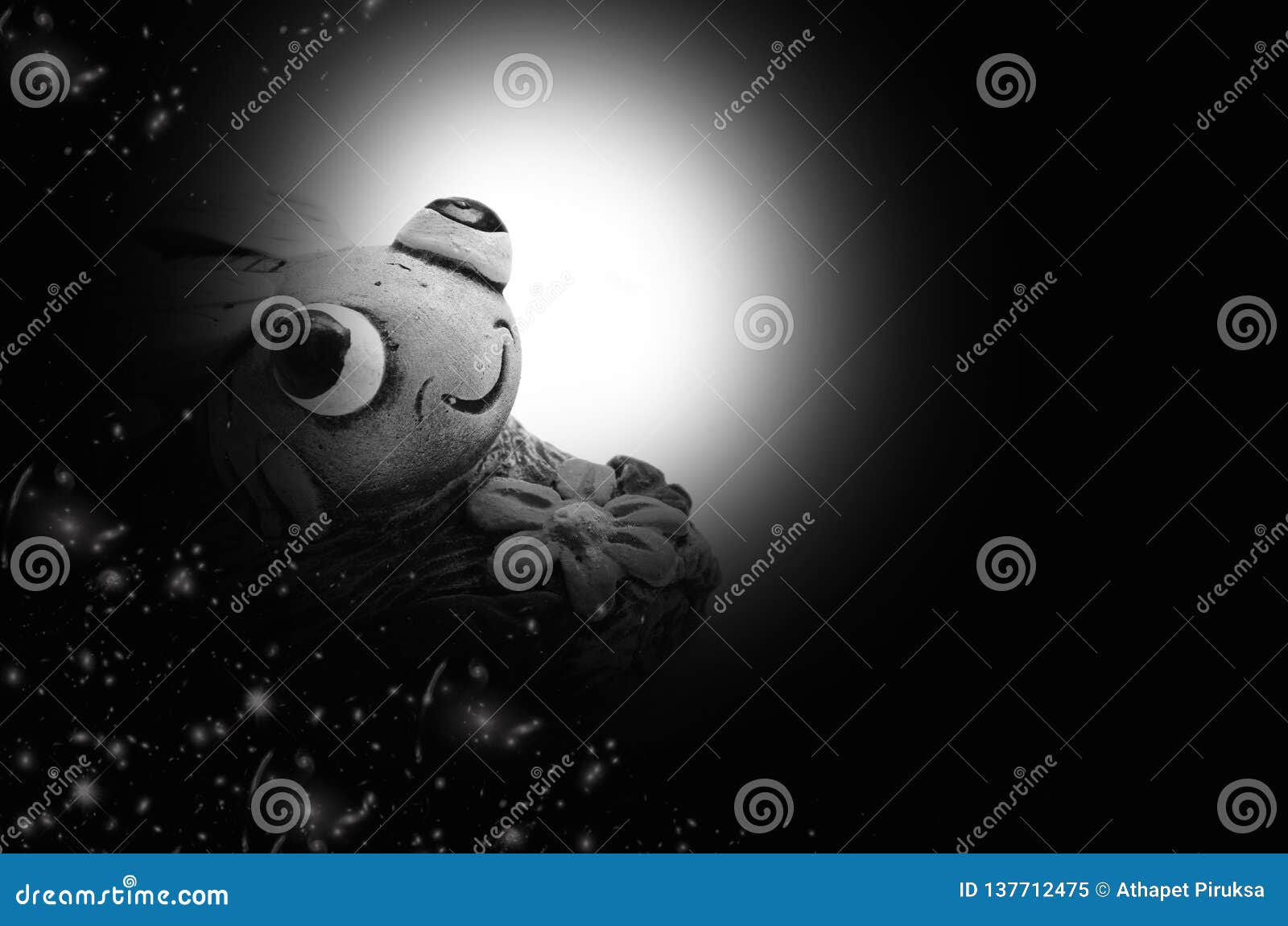 Happy Face with Big Eyes of Cicada Insect Stock Image - Image of ...