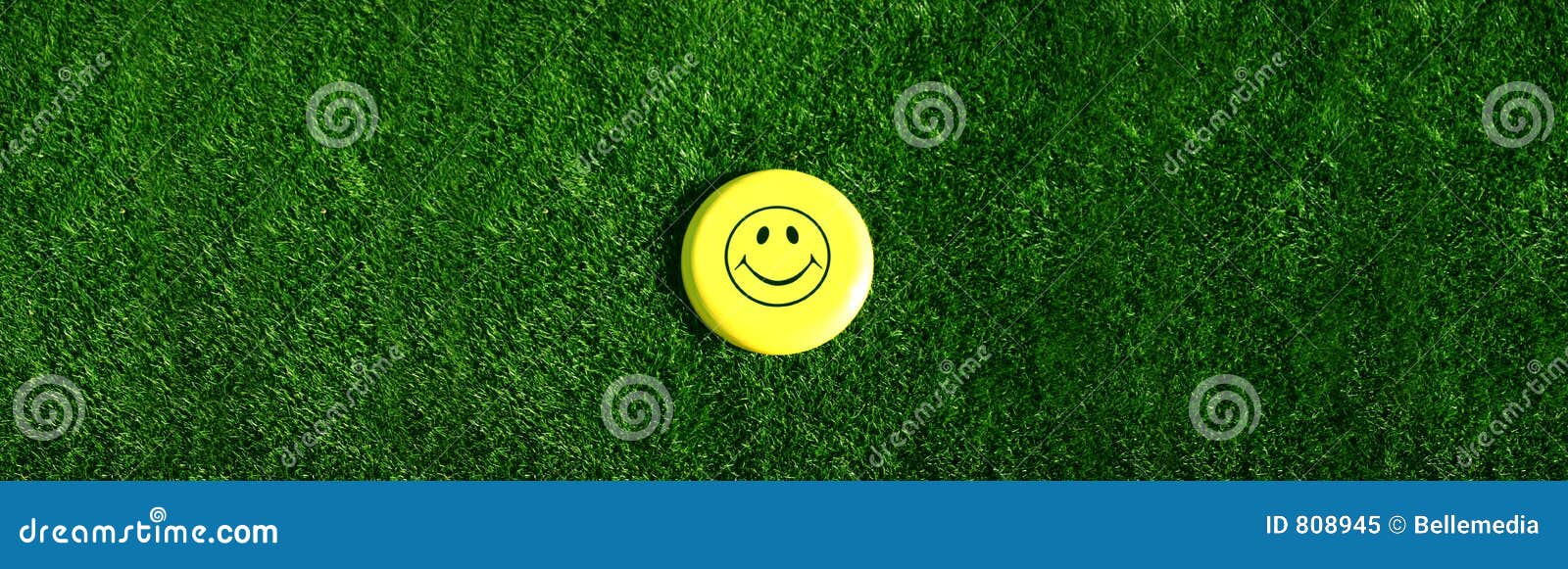 Happy Face in Grass stock image. Image of green, view, frisbee - 808945