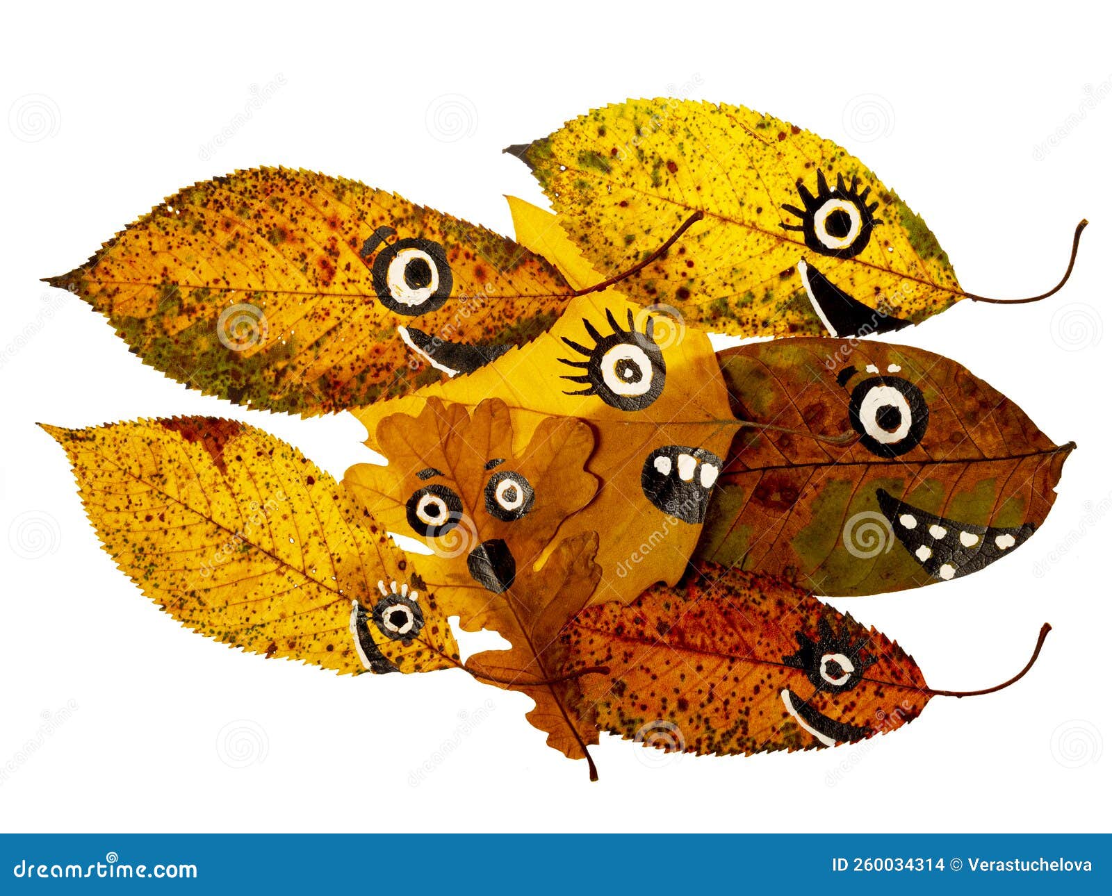 Happy Face Painted on Autumnal Leaves Stock Photo - Image of dark ...
