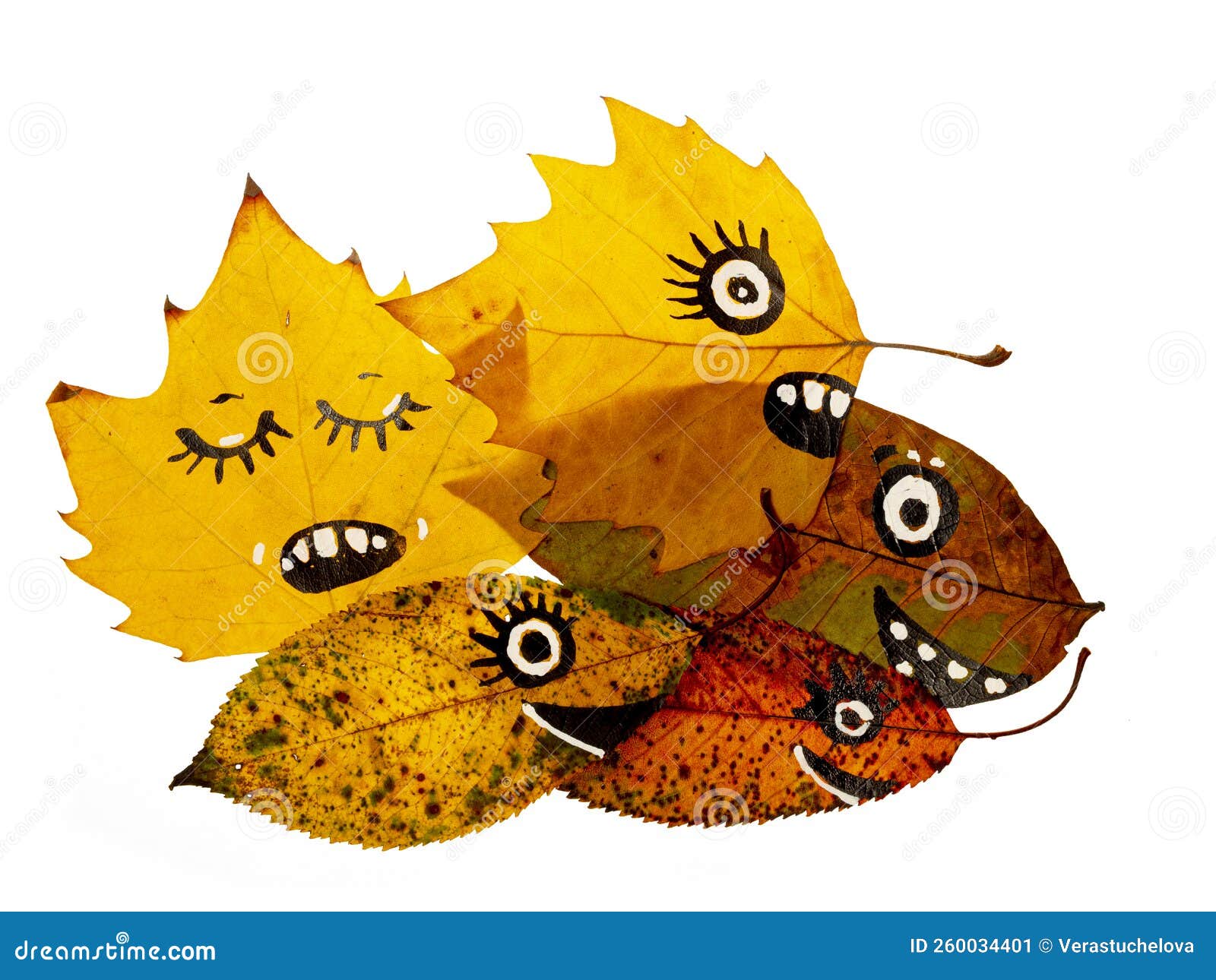 Happy Face Painted on Autumnal Leaves Stock Image - Image of animal ...