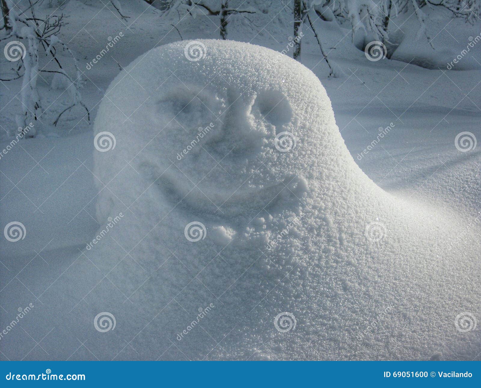 Happy Face in Snow stock photo. Image of happy, outdoors - 69051600