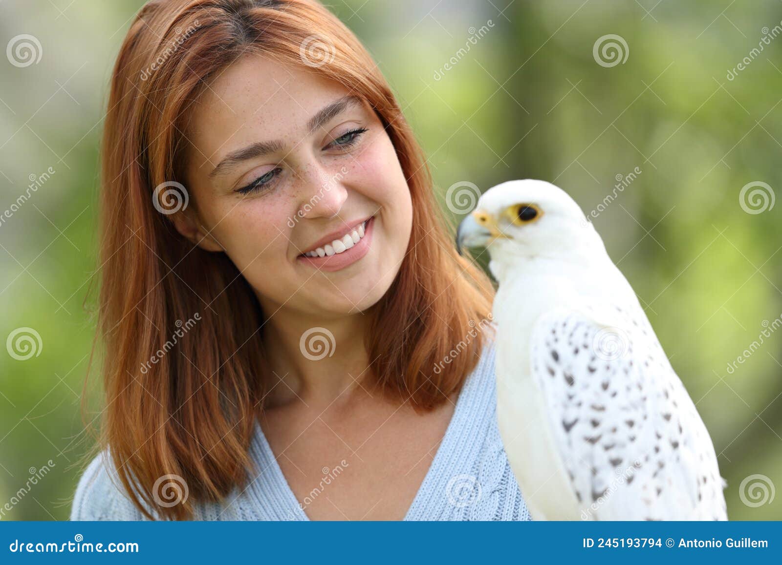 Happy Falconer Holding a Falcon Looking it Stock Photo - Image of ...
