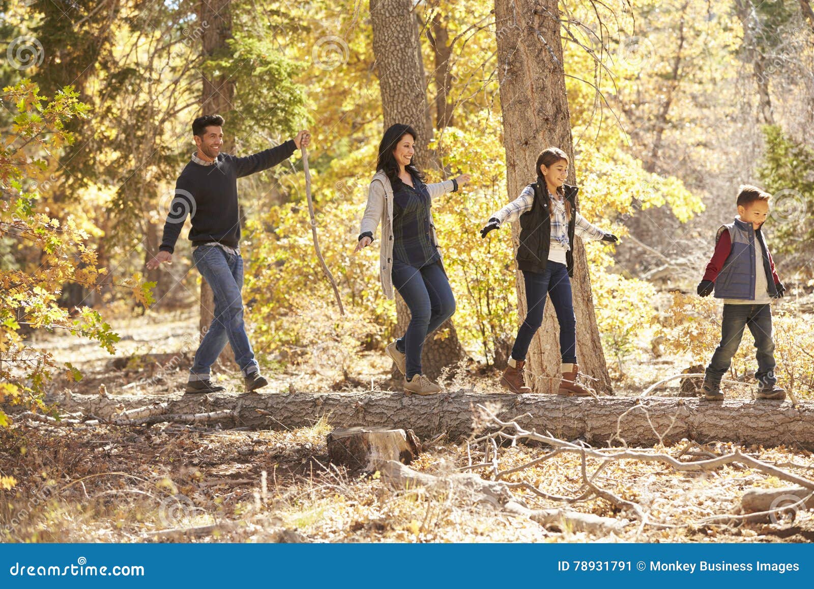Happy Family Balancing on a Fallen Tree in a Forest Stock Image - Image ...