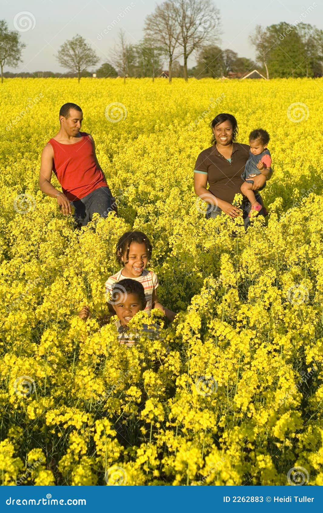 Happy family in a field stock image. Image of parenting - 2262883