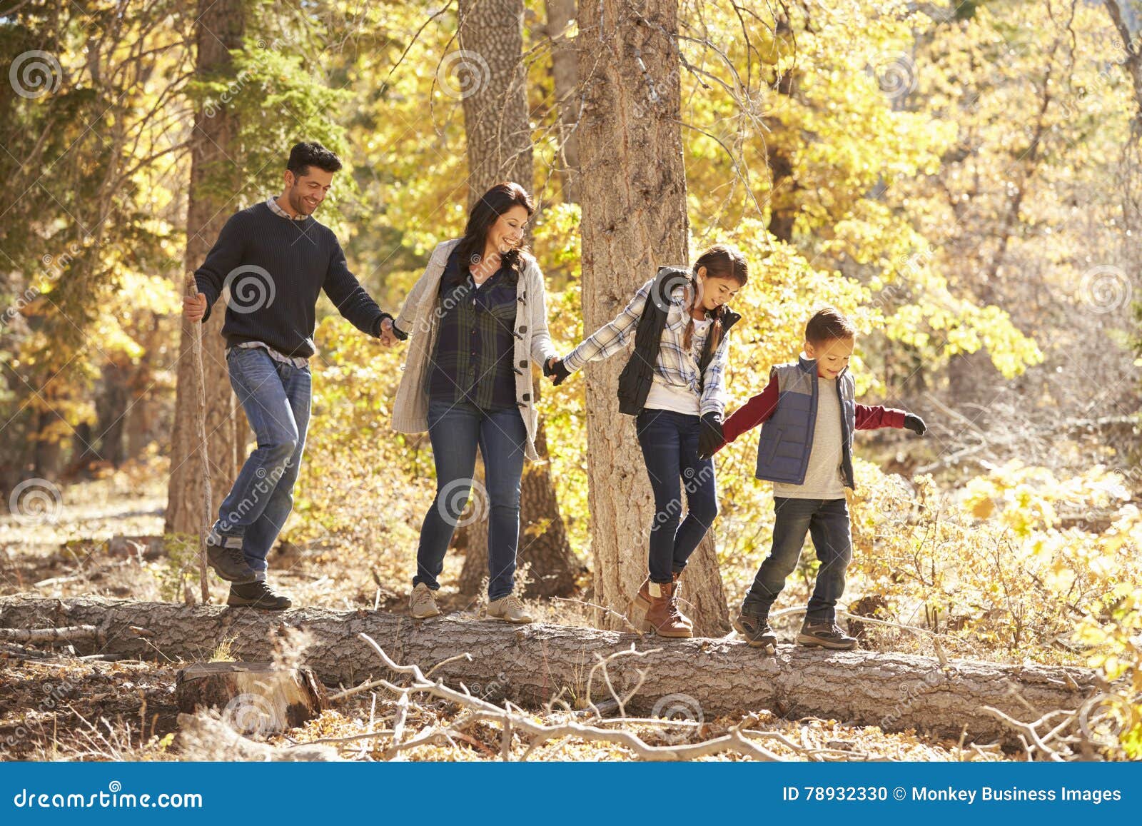 Happy Family Hold Hands Balancing on Fallen Tree in a Forest Stock ...
