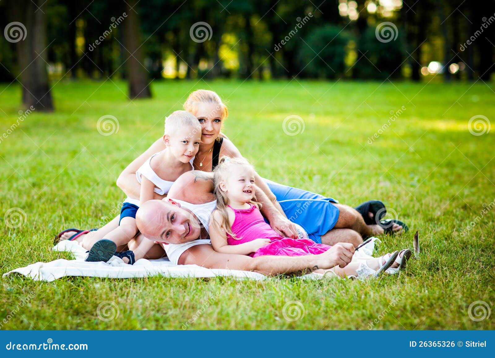 Happy family in a park stock photo. Image of meadow, summer - 26365326