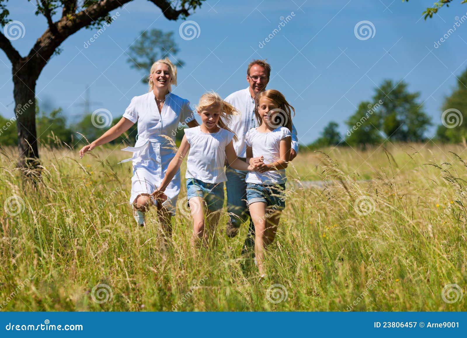 Happy Family Running in the Meadow Stock Image - Image of four ...