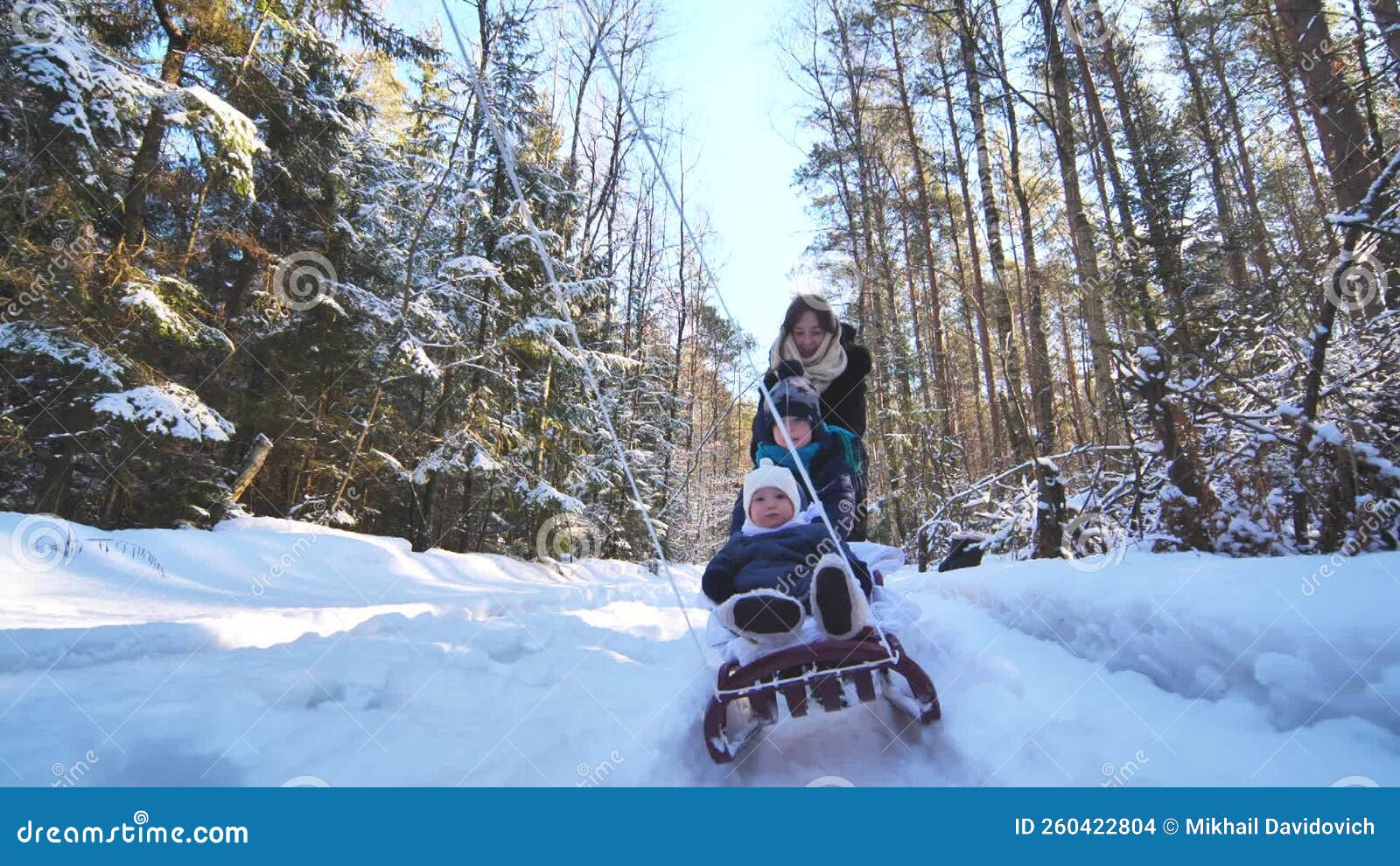 A Happy Family Sledding in the Woods. Stock Footage - Video of nature ...