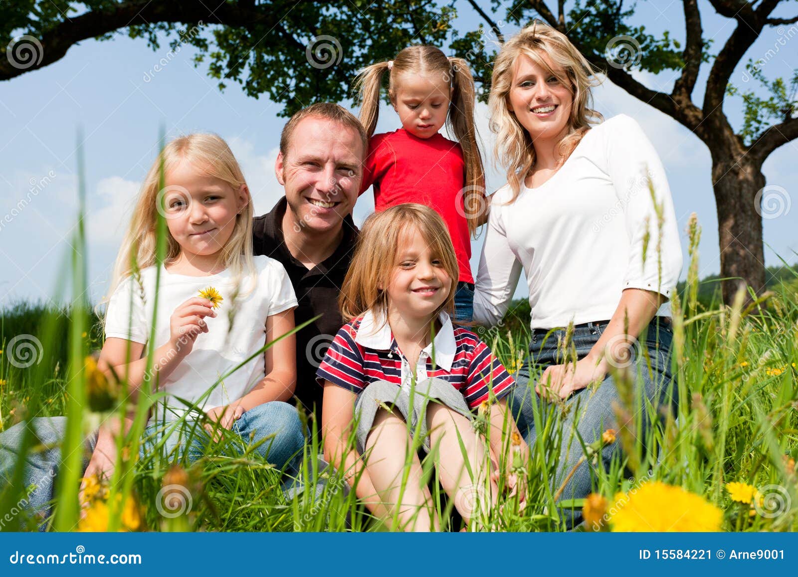 Happy family in summer stock image. Image of dandelion - 15584221