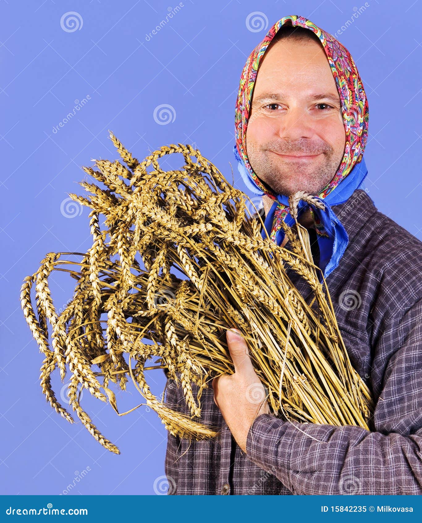 Happy farmer stock image. Image of blue, isolated, harvest - 15842235