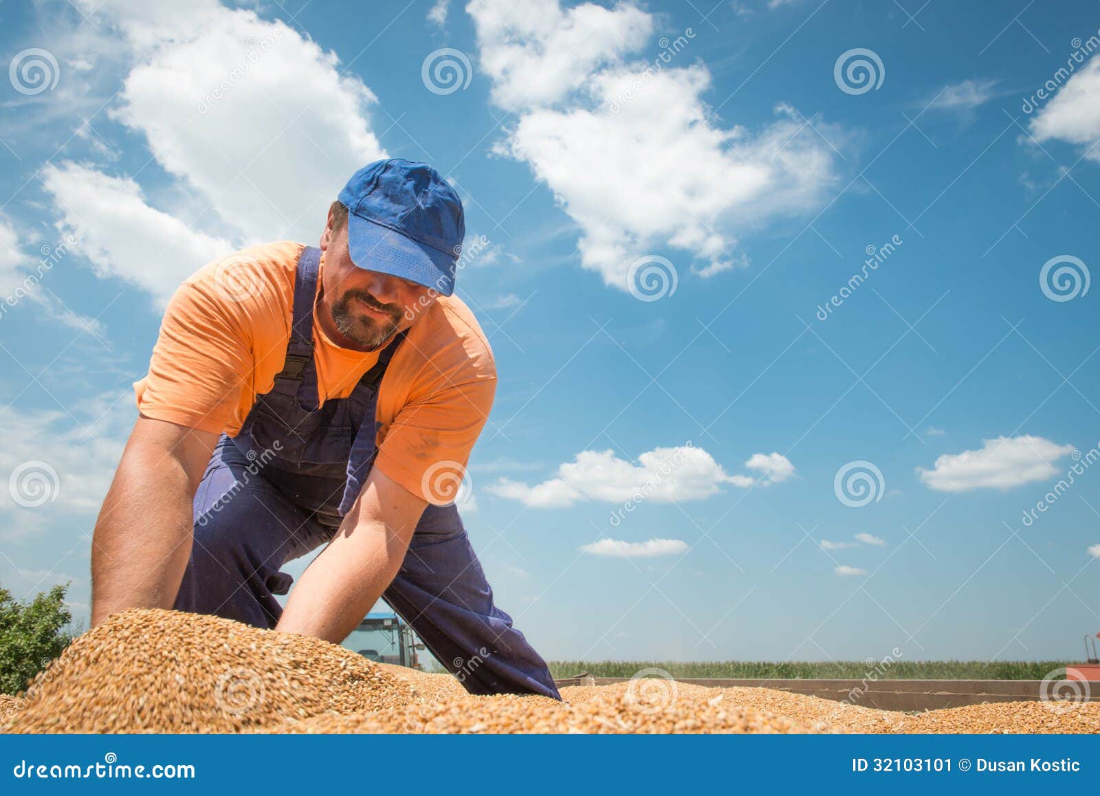 Happy farmer stock image. Image of harvesting, happy - 32103101
