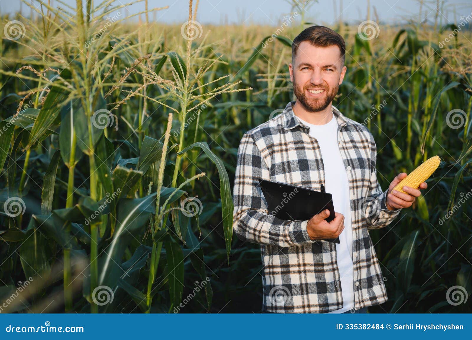 Happy Farmer is Standing in His Growing Corn Field and Examining Crops ...