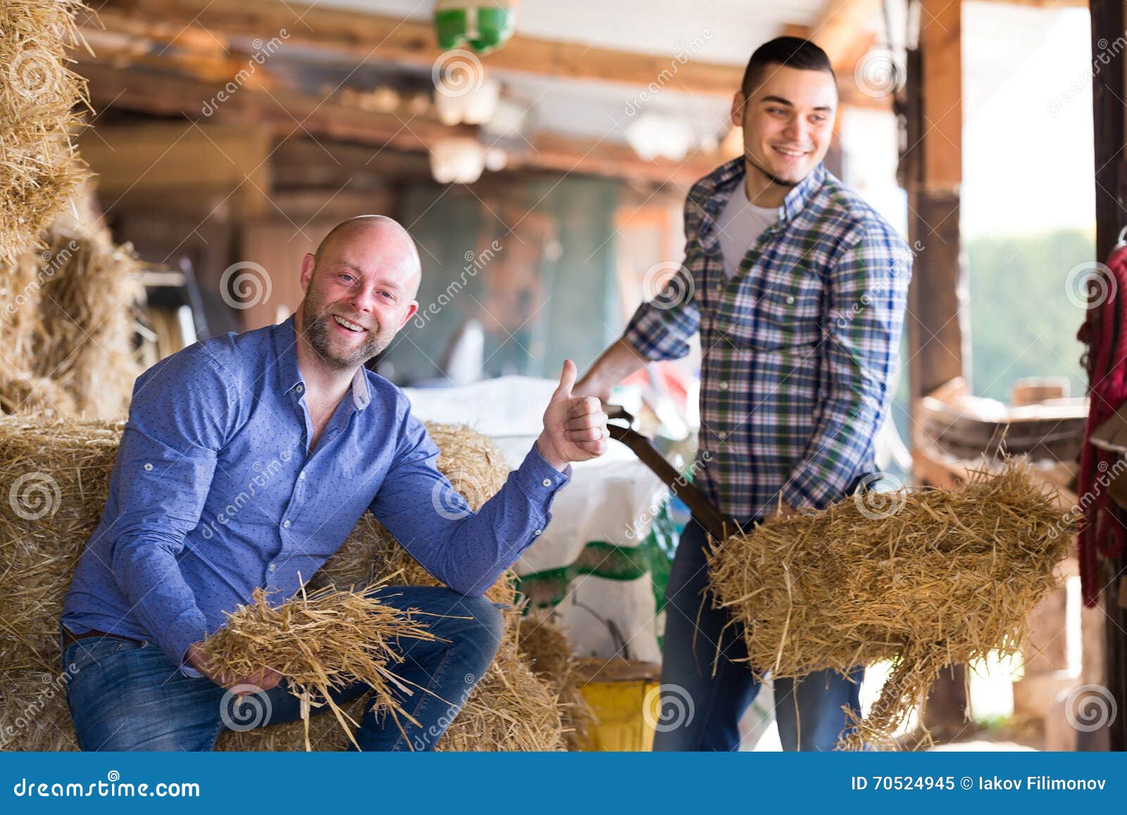 Happy Farmers Tedding Straw Stock Image - Image of manger, friendship ...