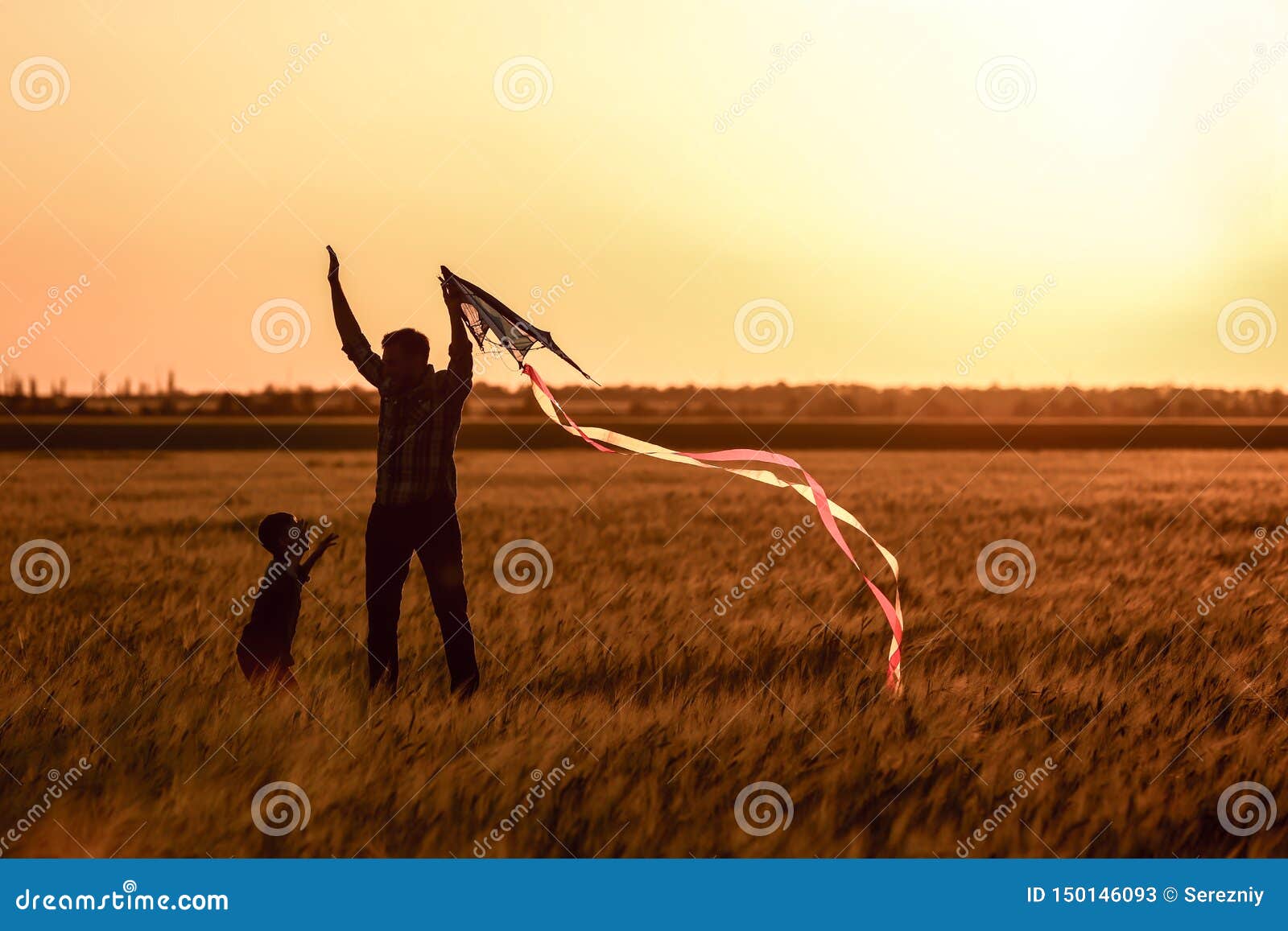 Happy Father and Son Flying Kite in the Field at Sunset Stock Image ...