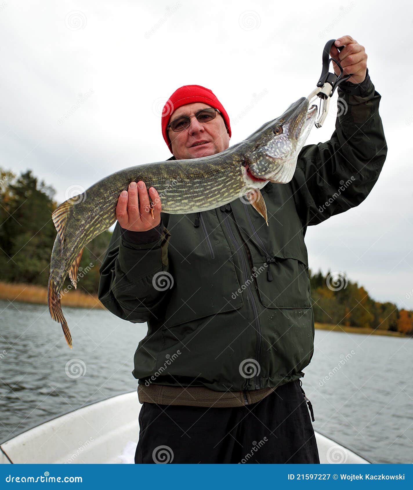 Happy Fisherman and Giant Pike Stock Image - Image of giant, autumn ...