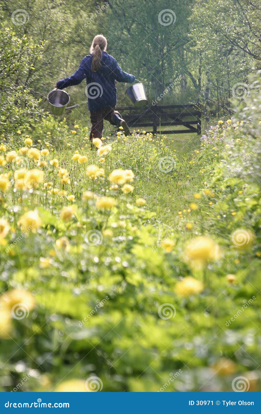 Happy Flower Fields stock image. Image of happy, adult, beauty - 30971