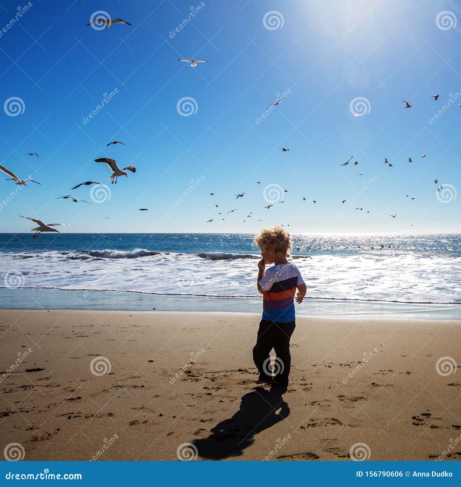 Happy and Free Boy on the Beach with Seagulls Stock Photo - Image of ...