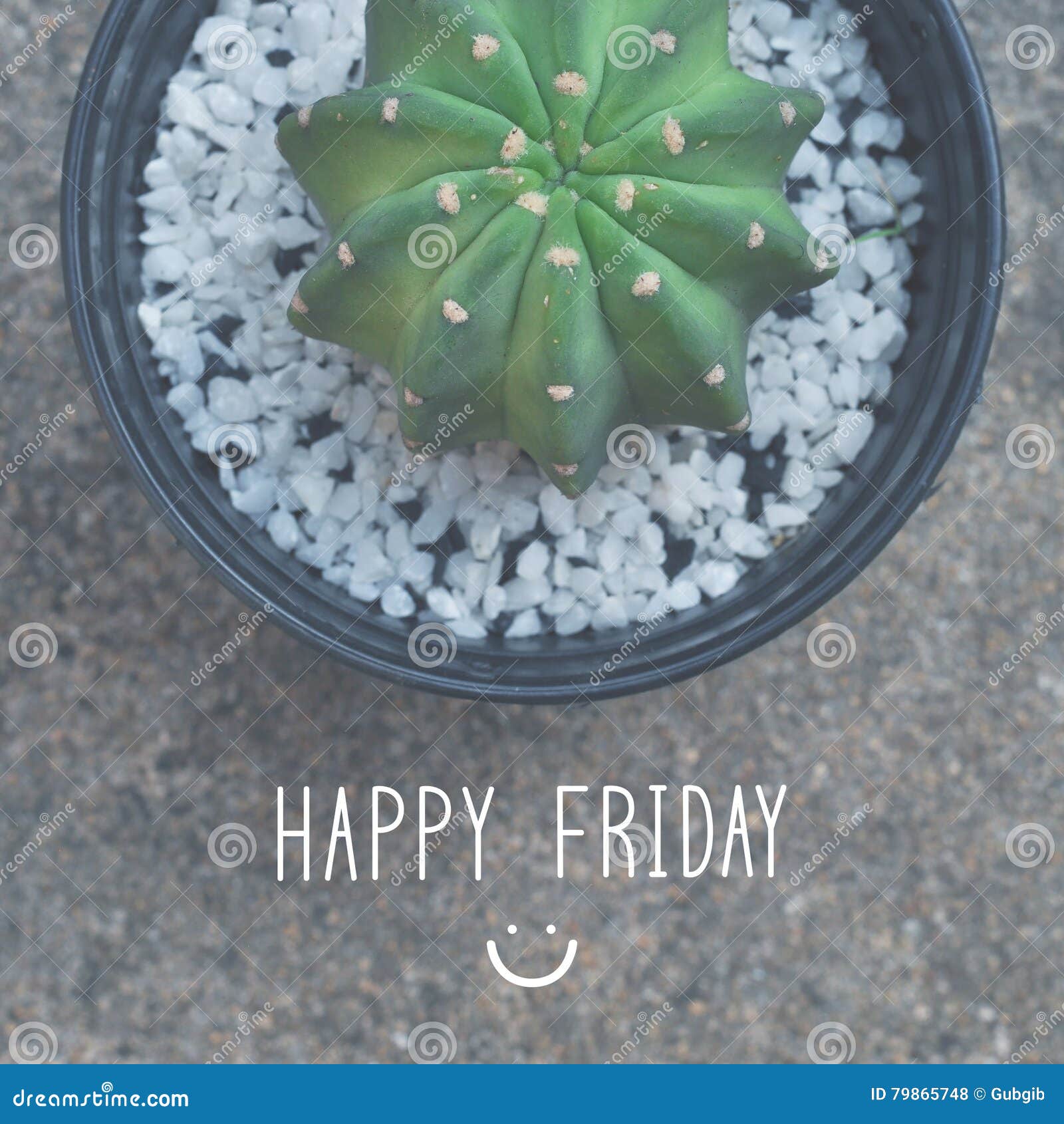 Happy Friday with Cactus on Floor Background Stock Photo - Image of ...