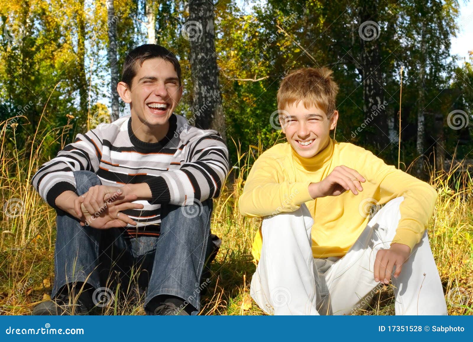 Happy friends stock photo. Image of loudly, joke, park - 17351528