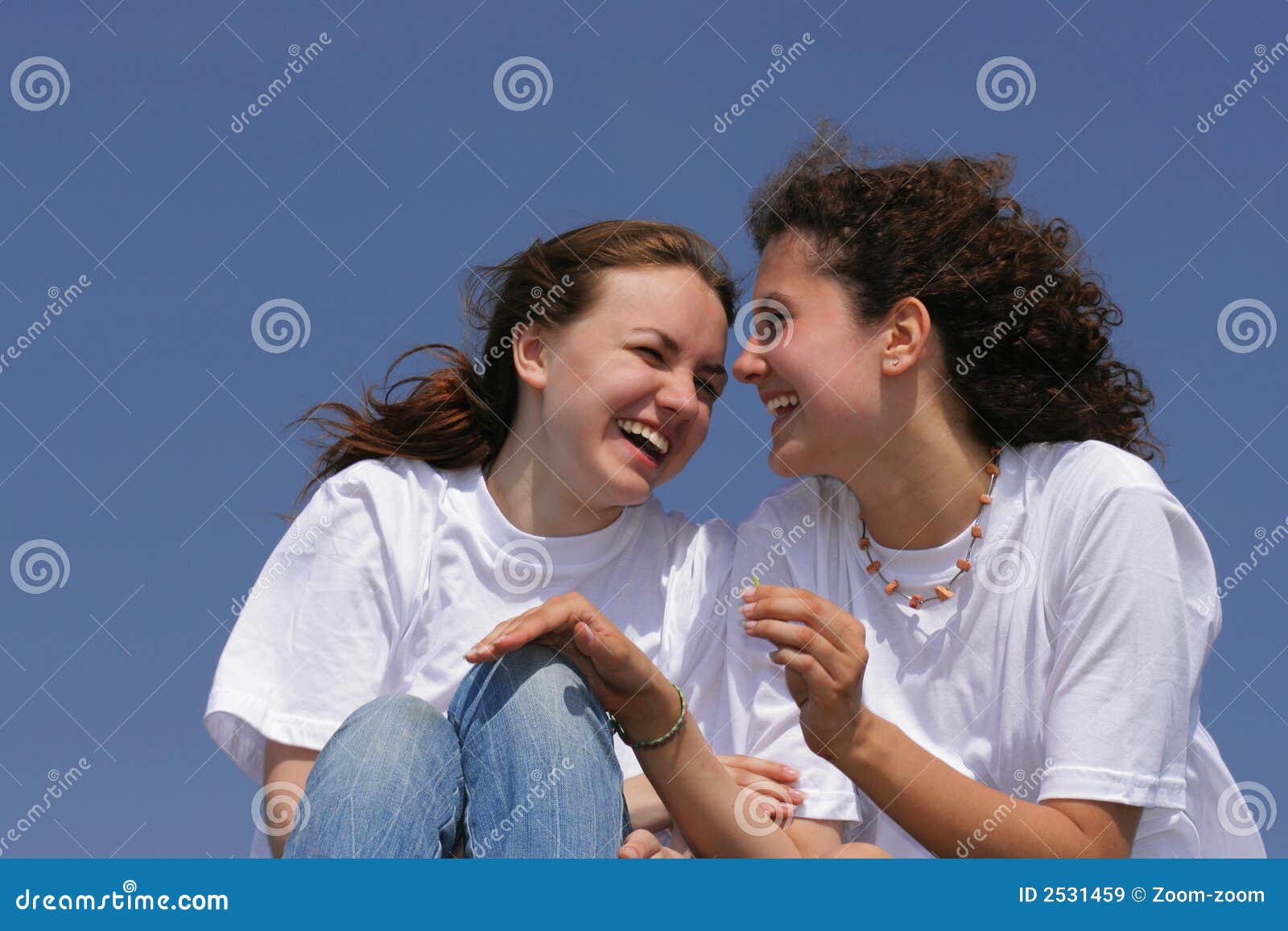 Happy friends stock image. Image of gladness, laughter - 2531459