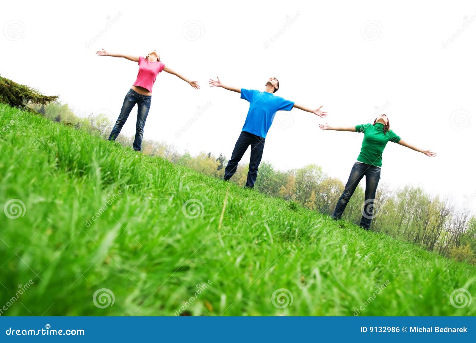 Happy friends stock photo. Image of grass, play, joined - 9132986