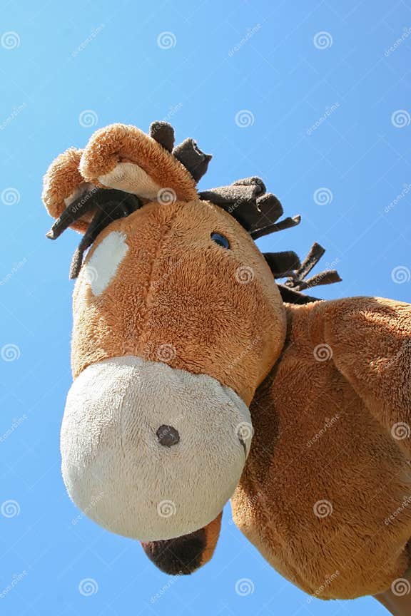Happy gee-gee stock photo. Image of named, brown, horse - 6009364