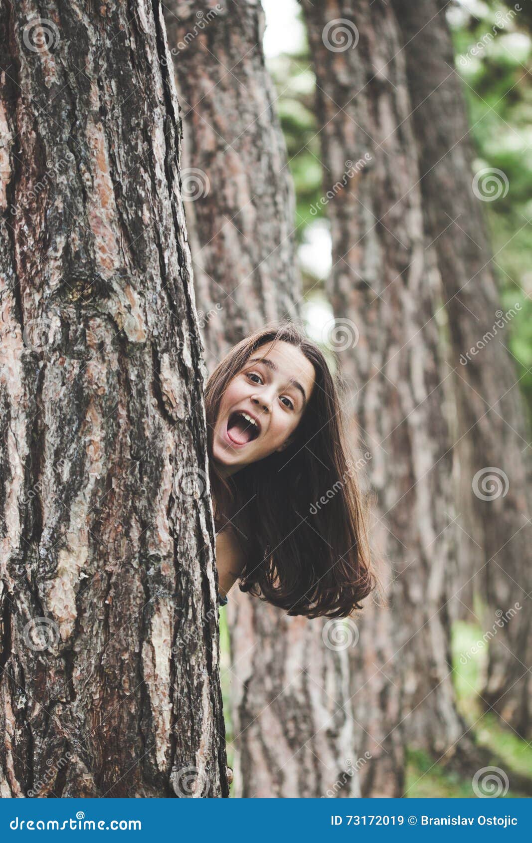 Behind The Tree Stock Photo | CartoonDealer.com #30744102