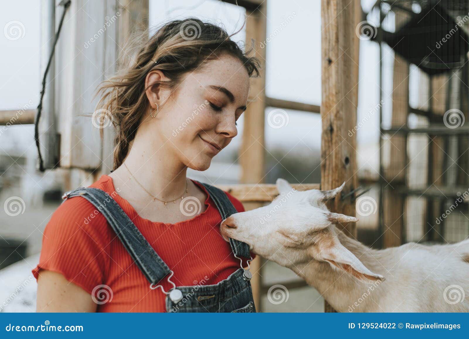 Happy Girl with a Cute Goat Stock Photo - Image of mammal, happiness ...