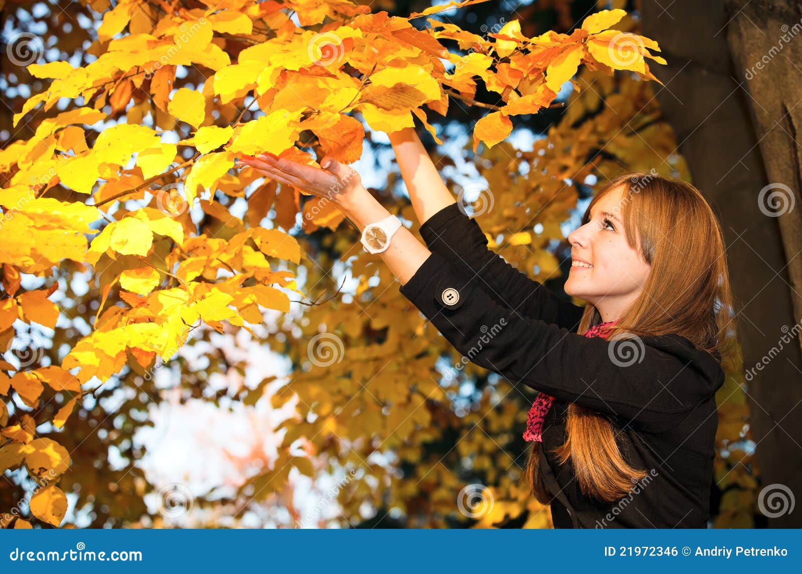 Happy girl drop up leaves stock photo. Image of attractive - 21972346