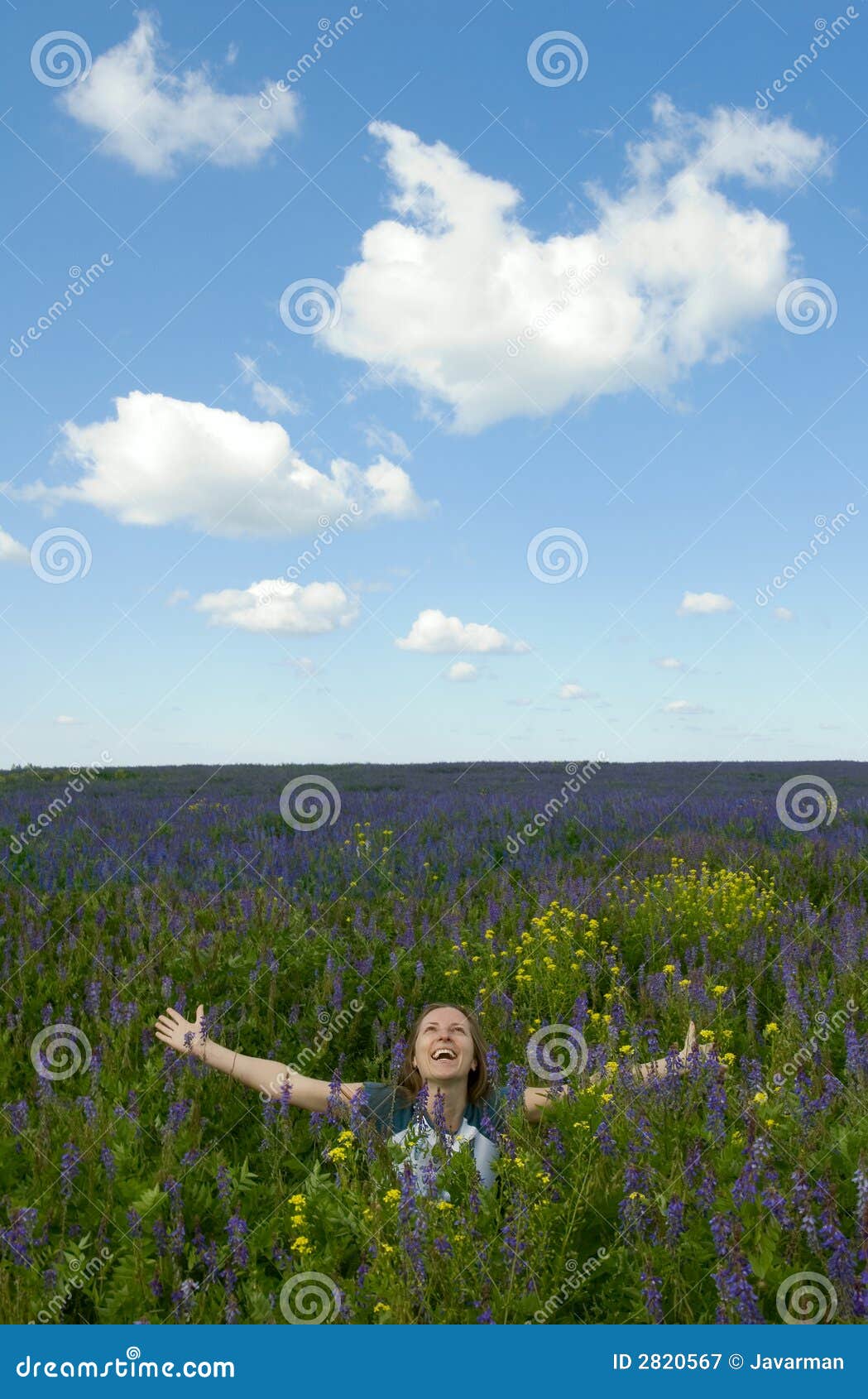 Happy girl in the field stock image. Image of leaves, happy - 2820567